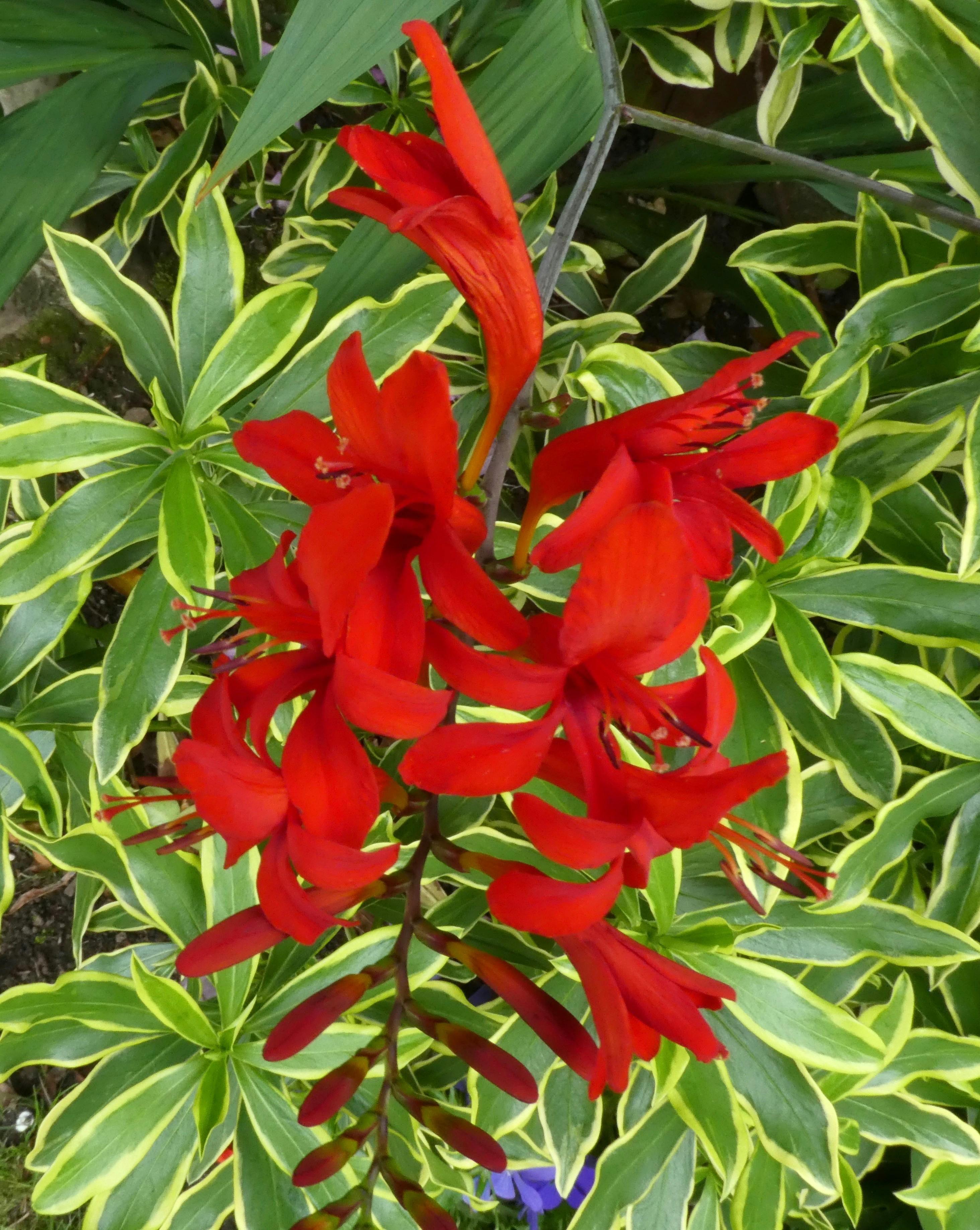 Malcolm Hill - Photography