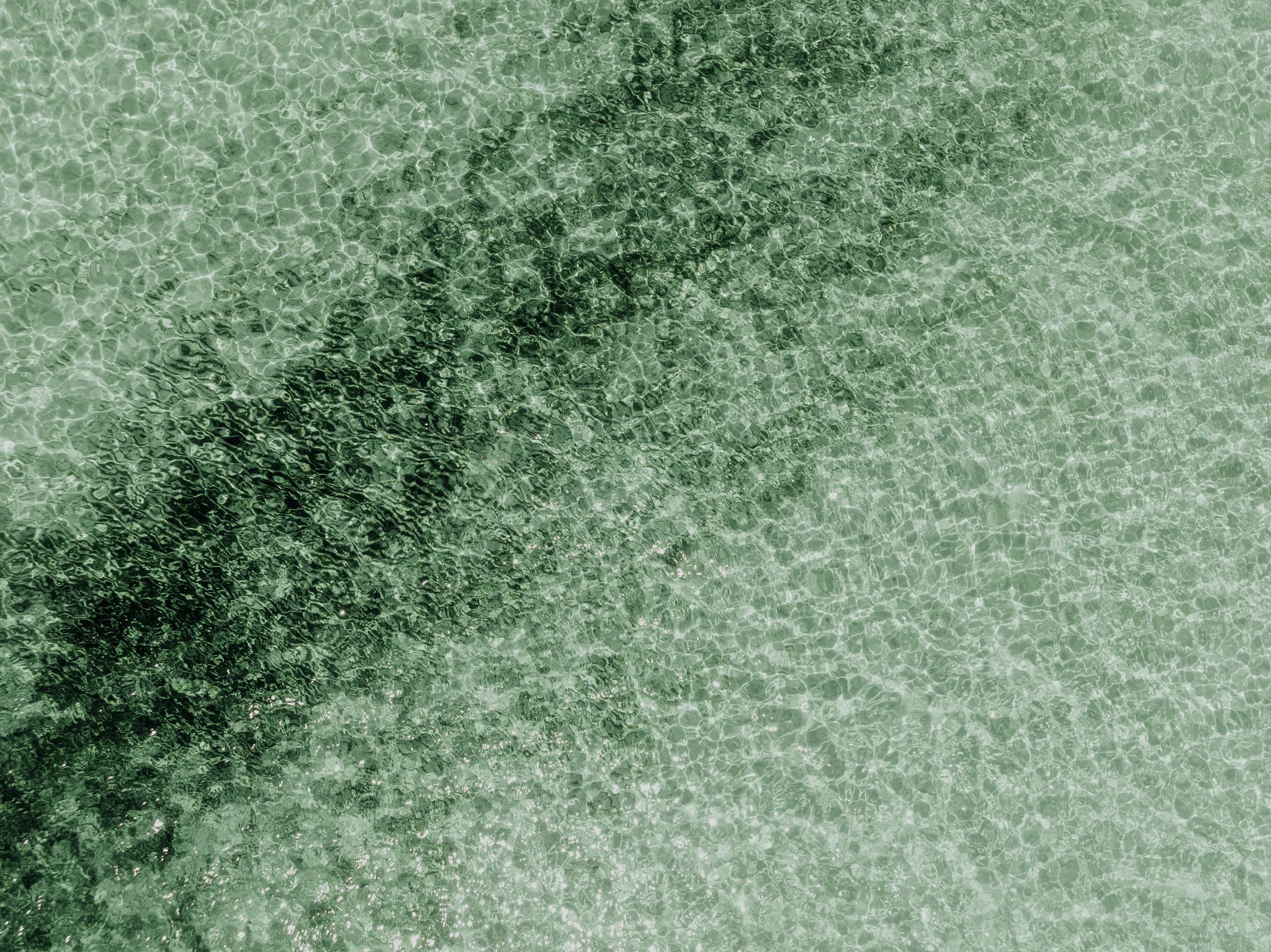 Shallow Water Surface · Free Stock Photo