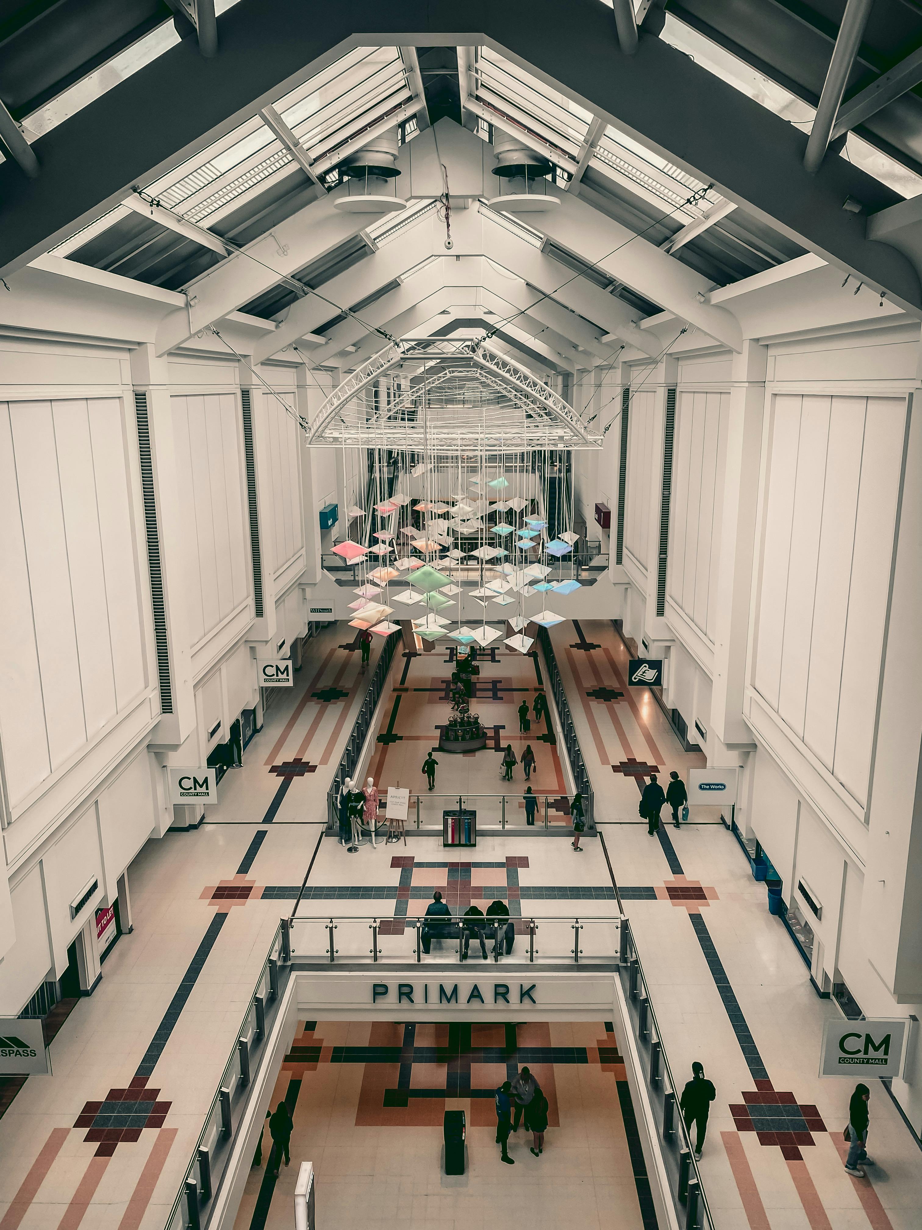 Ryan Collis - 사진