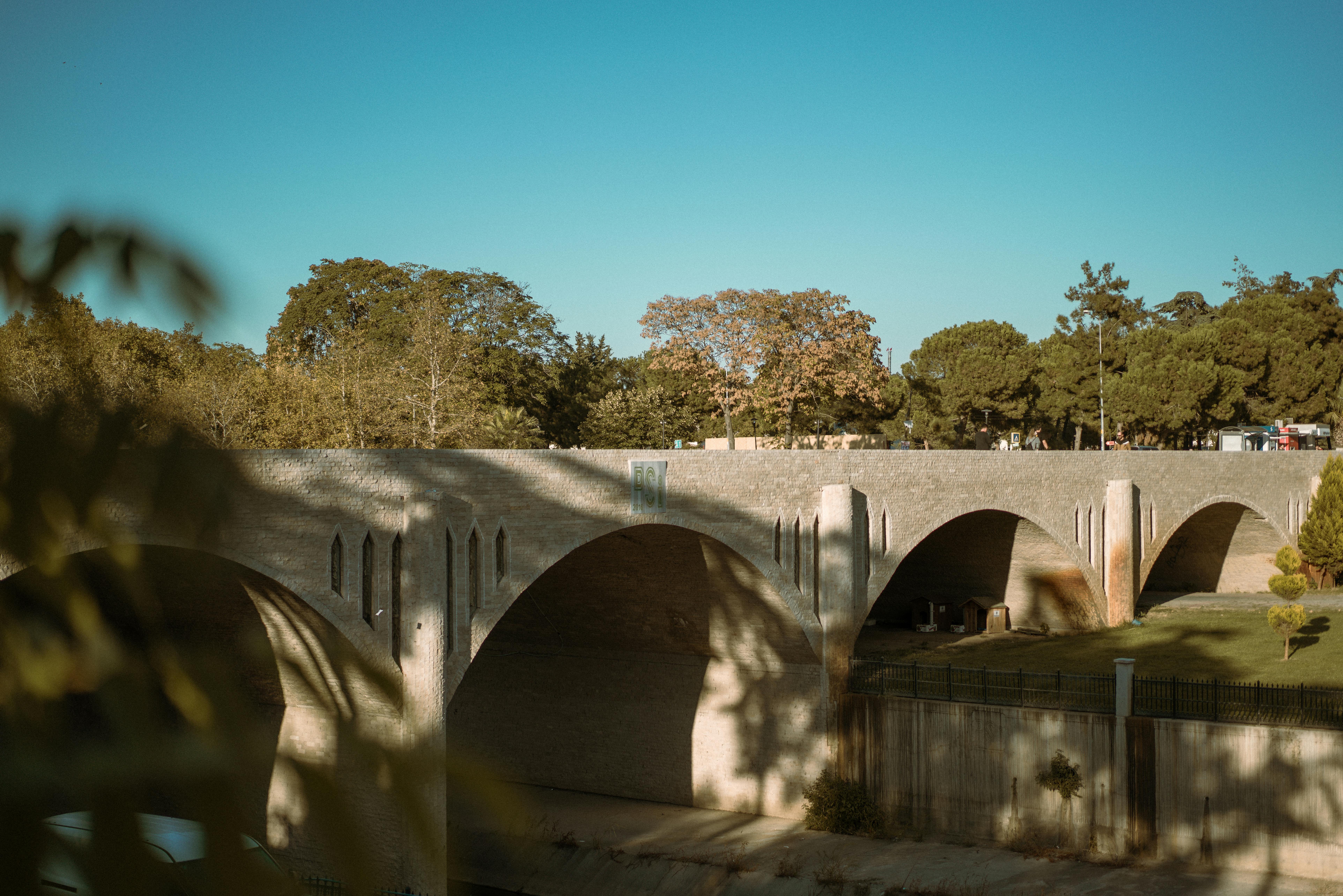 Trees behind Bridge on River · Free Stock Photo