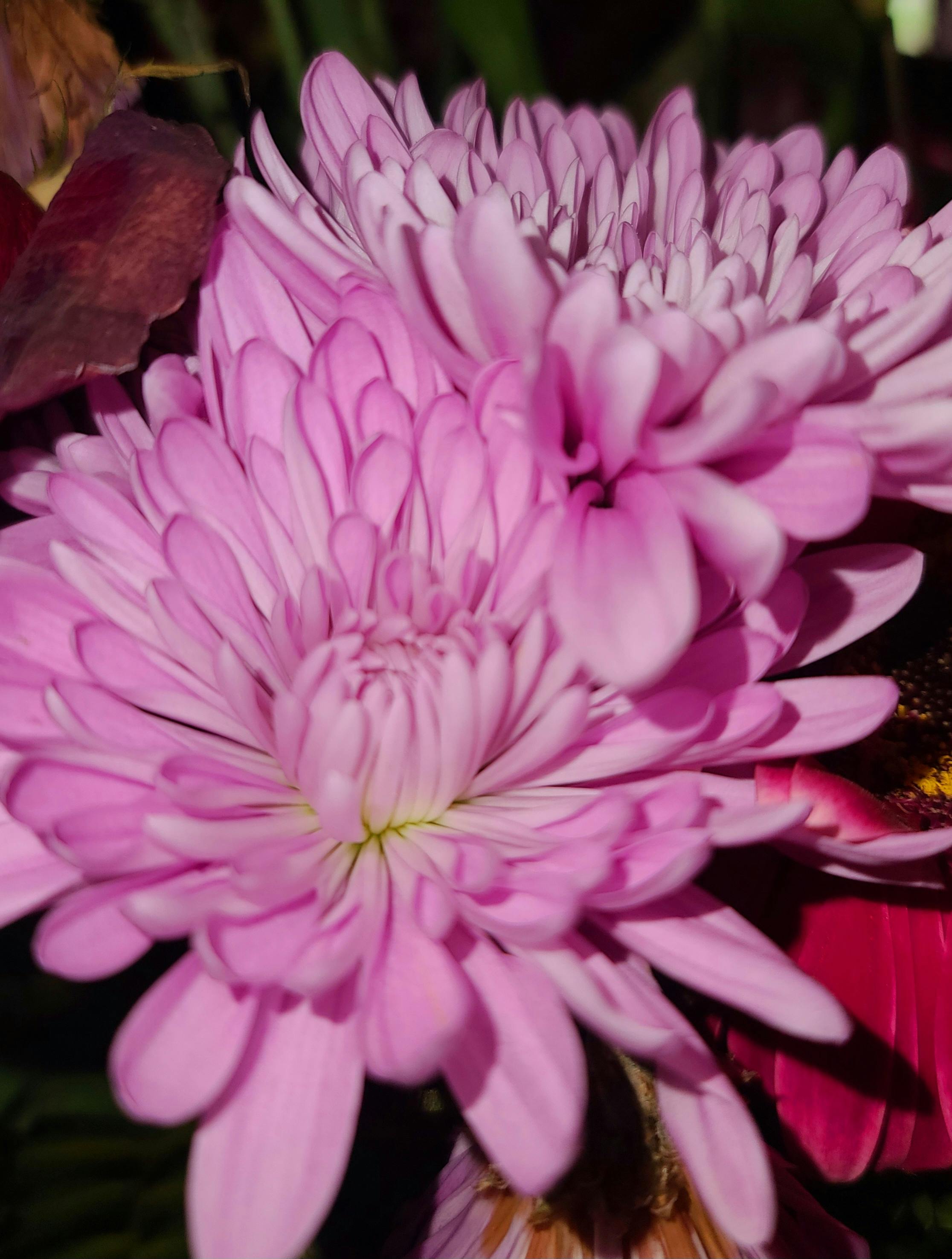 Bud Jenkins - 写真