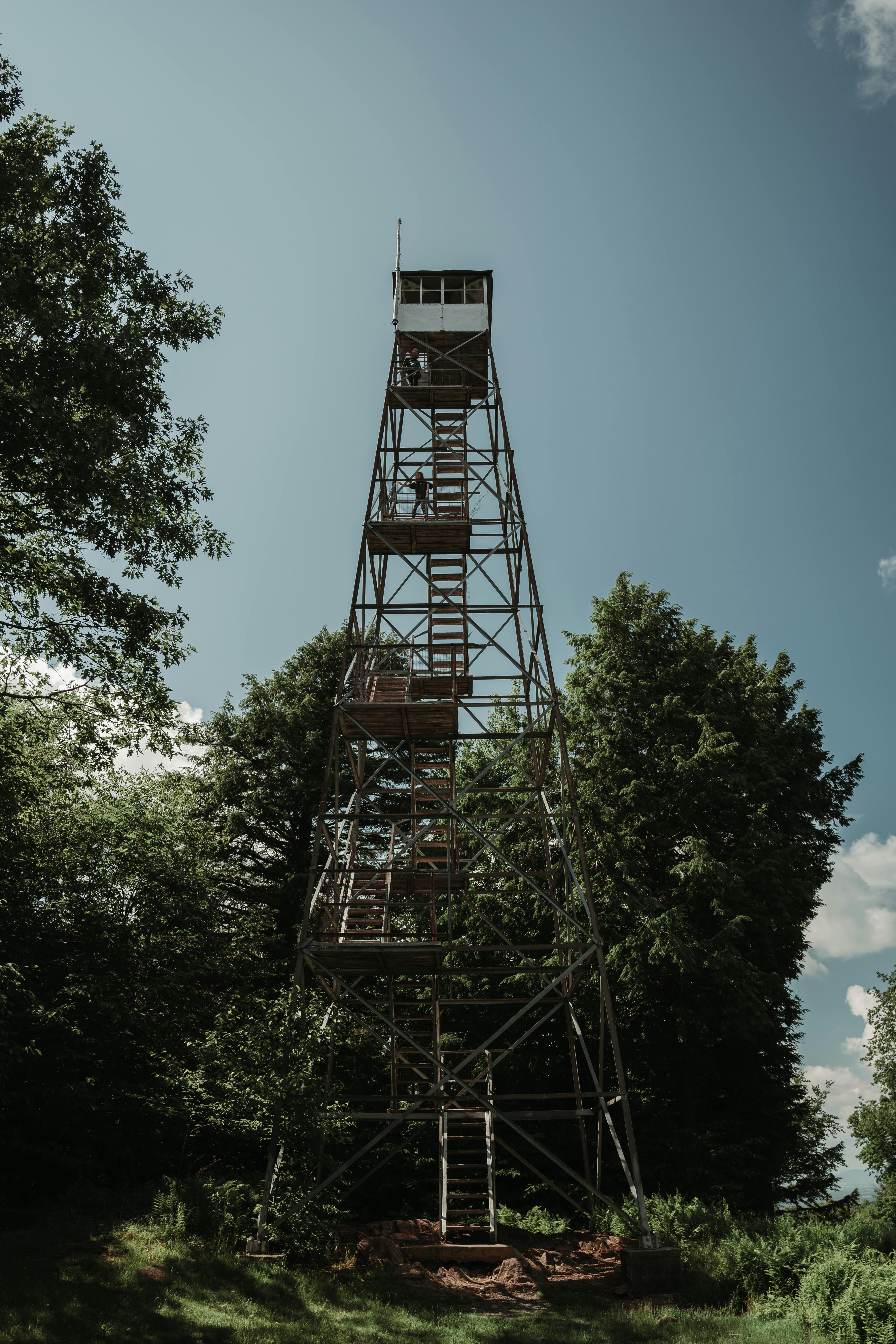 Observation Tower in Forest · Free Stock Photo
