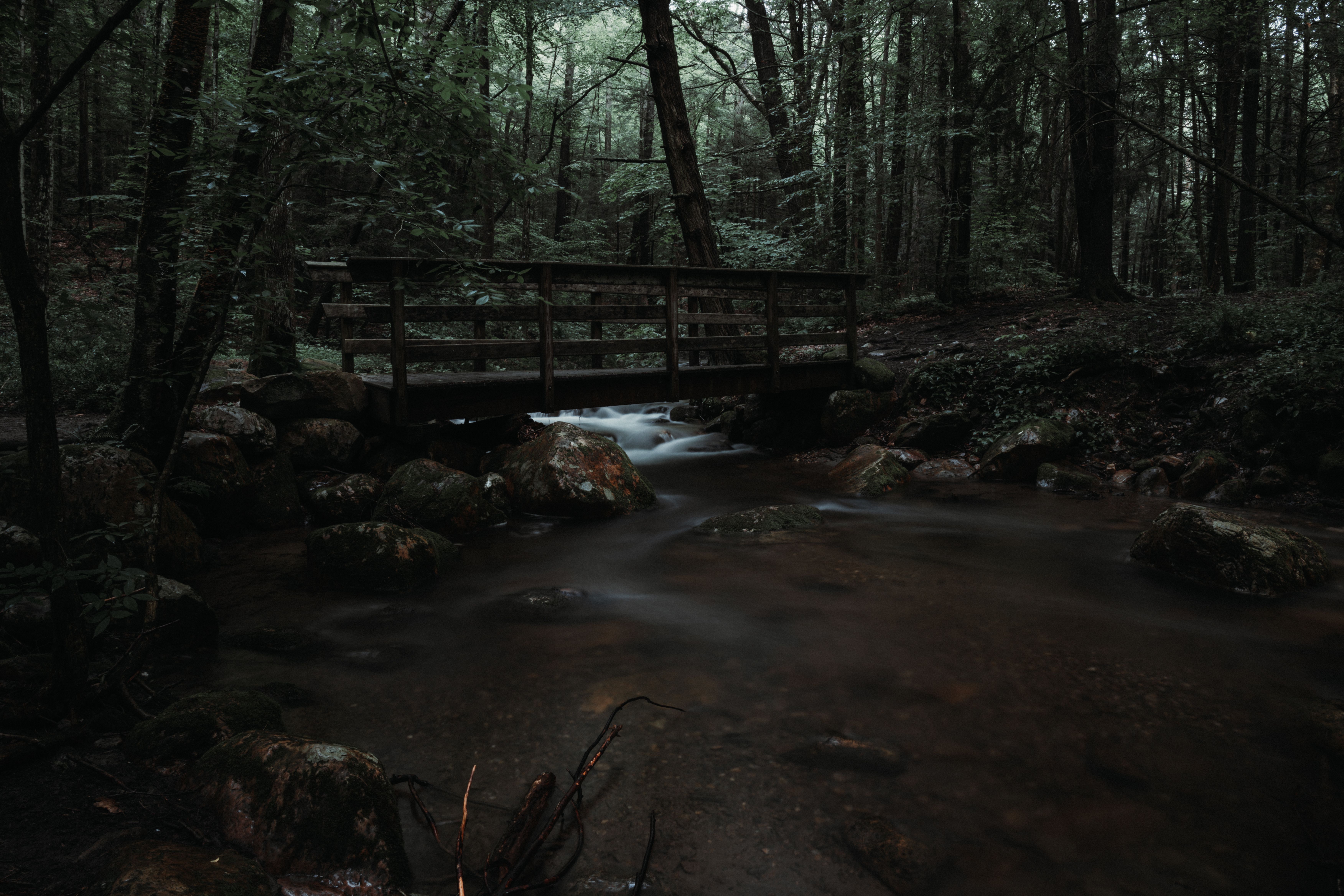 Wooden Bridge over a Small Forest Stream · Free Stock Photo