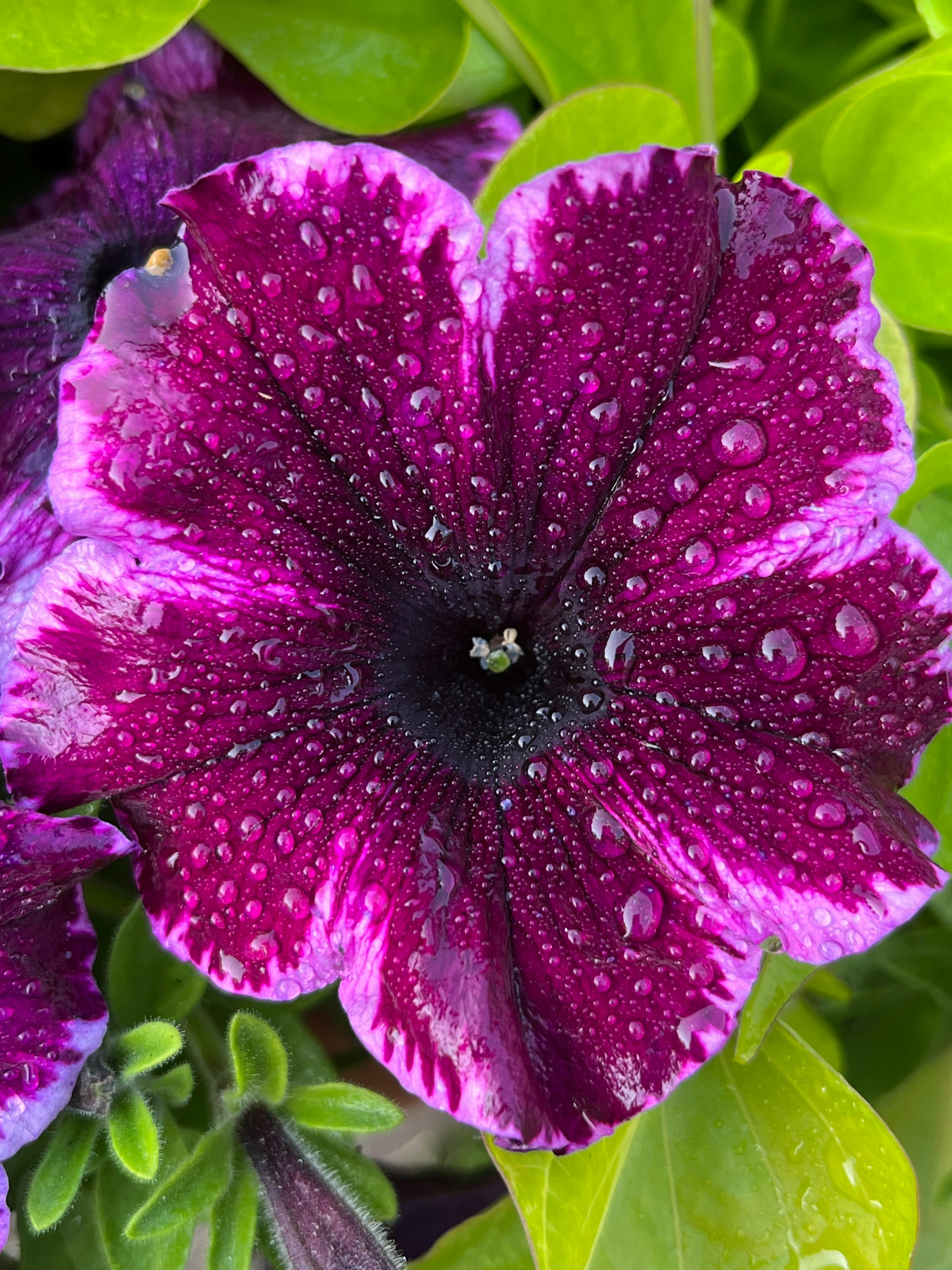 Name Dropping Photos, Download The BEST Free Name Dropping Stock Photos ...