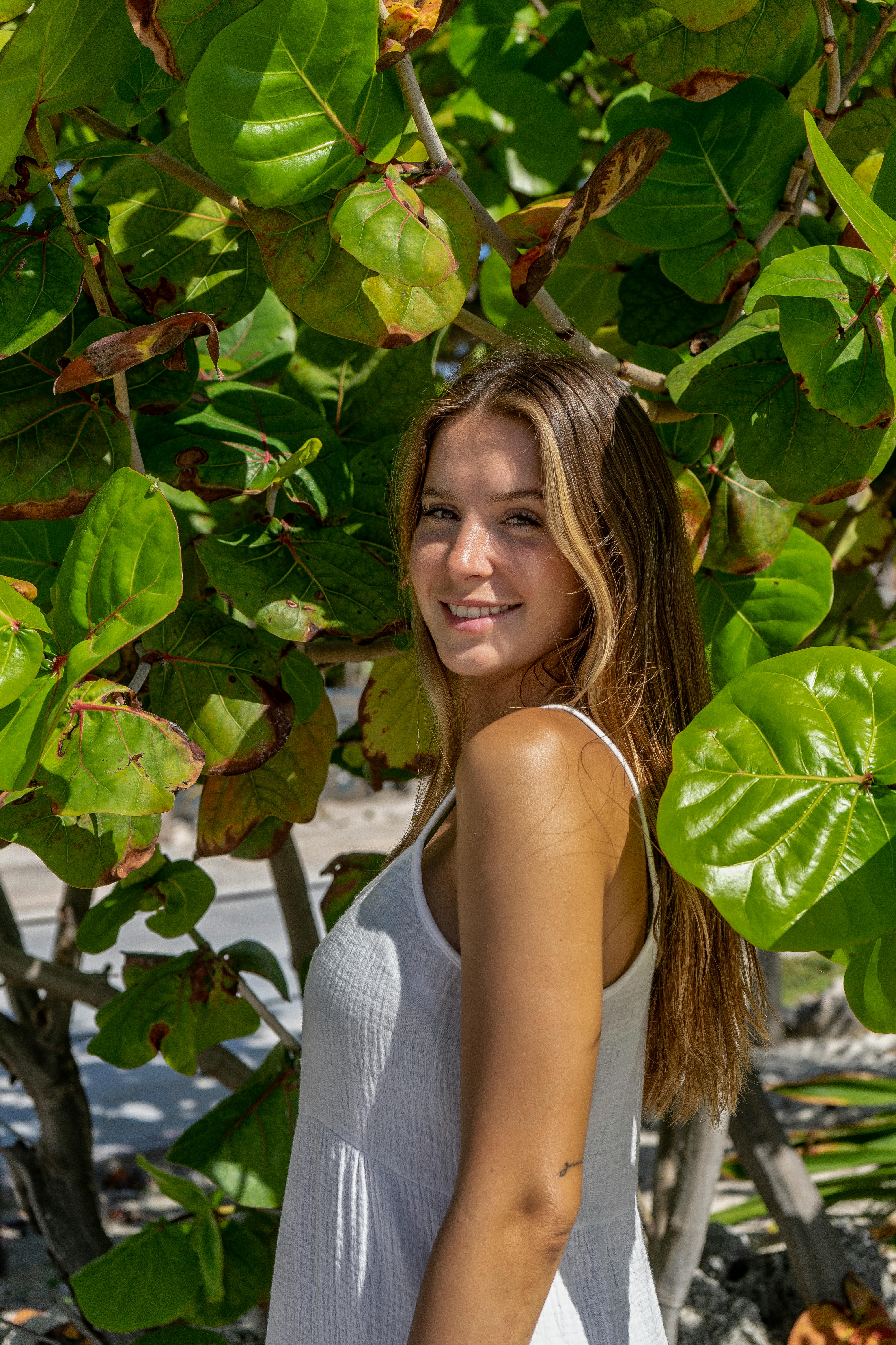 Scenery Portrait Photos, Download The BEST Free Scenery Portrait Stock ...