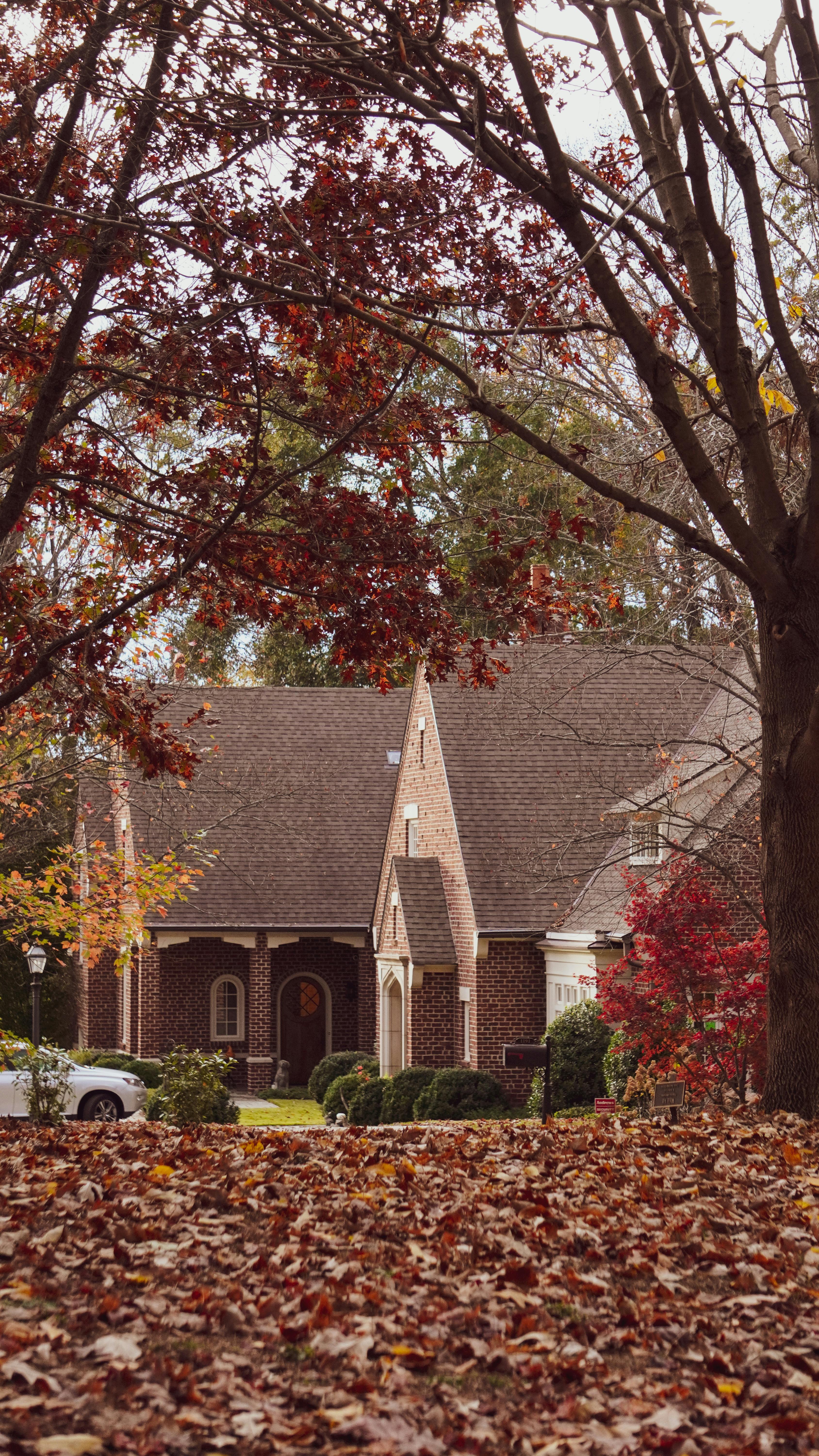 Autumn Trees around Building in Village · Free Stock Photo
