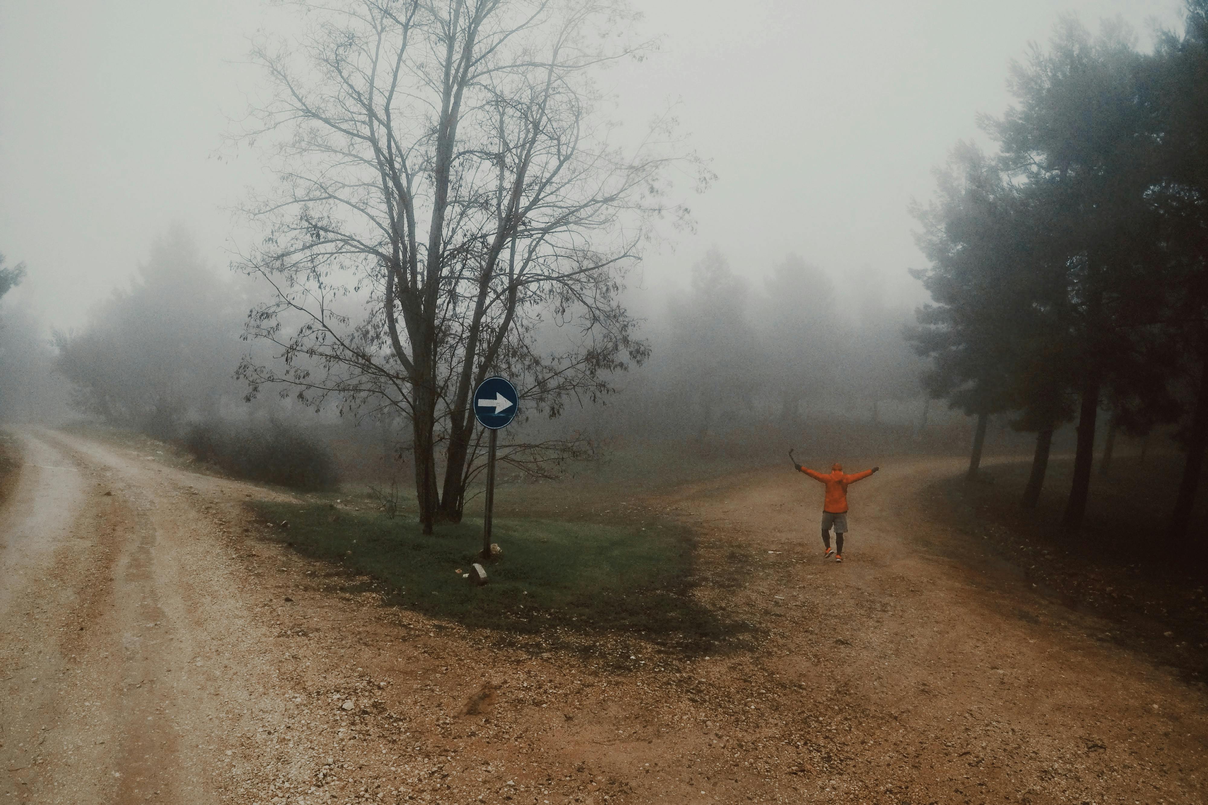 Person Walking Dog in Fog · Free Stock Photo