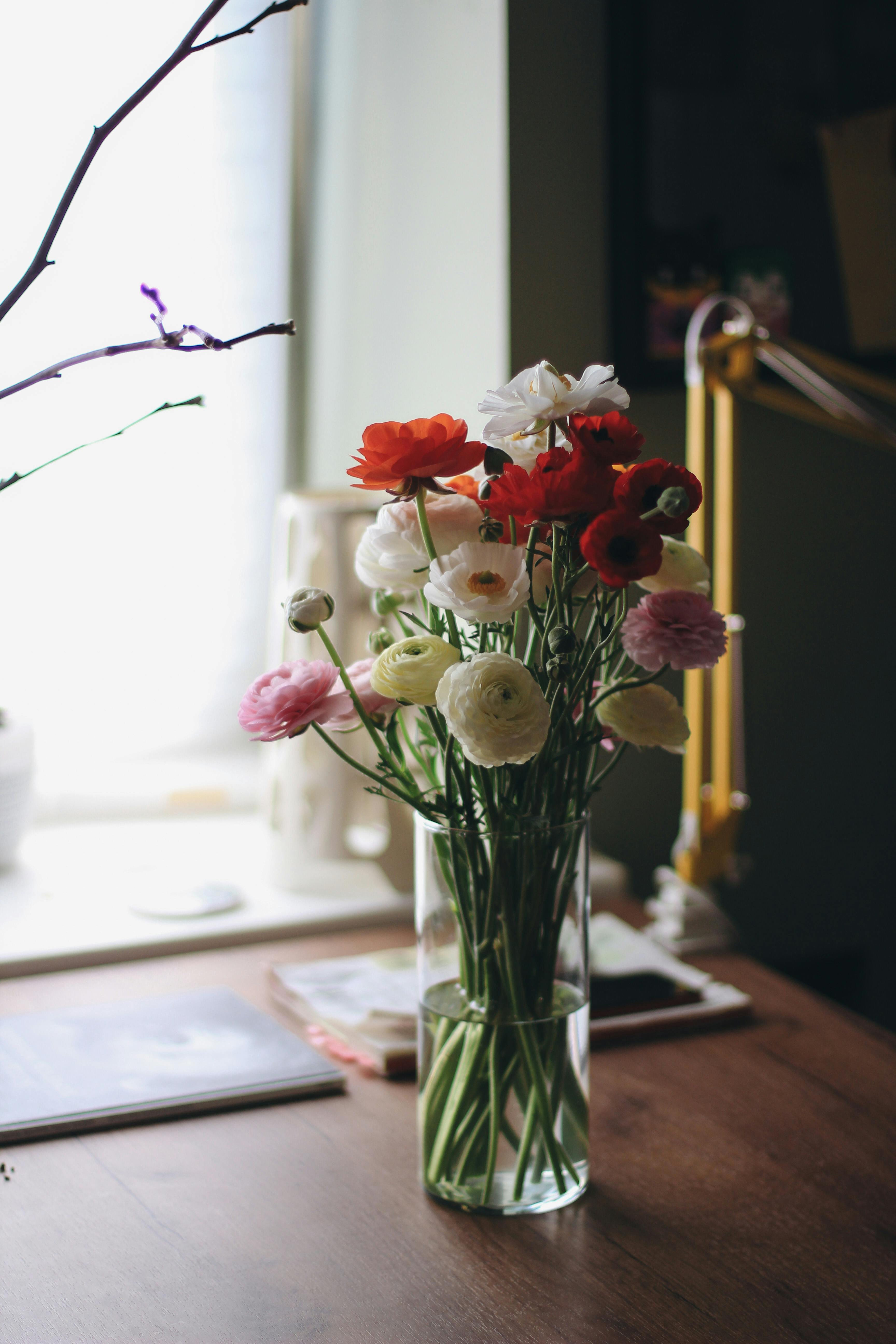 50mb Flowers Photos, Download The BEST Free 50mb Flowers Stock Photos ...