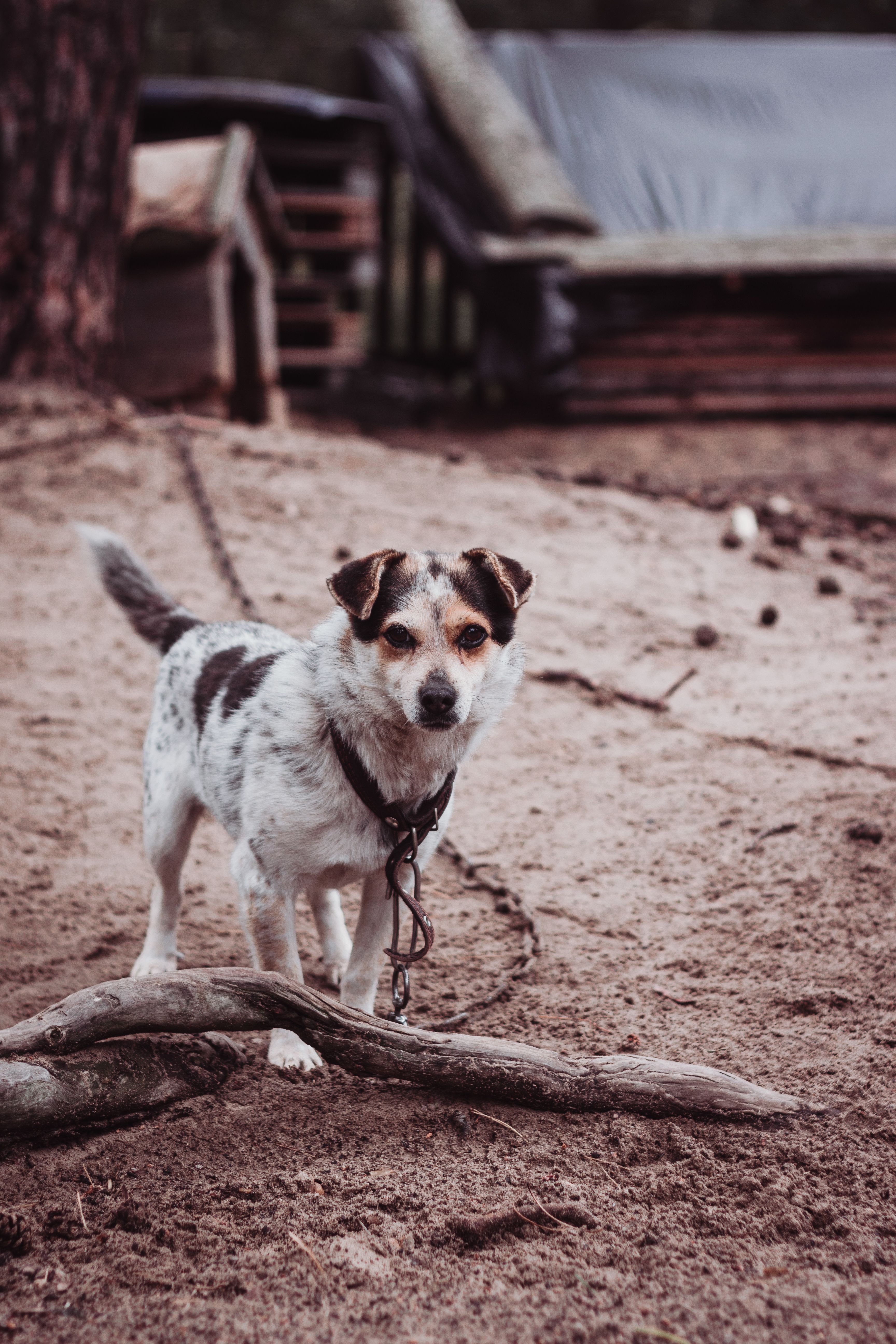 Sad Pad Photos, Download The BEST Free Sad Pad Stock Photos & HD Images