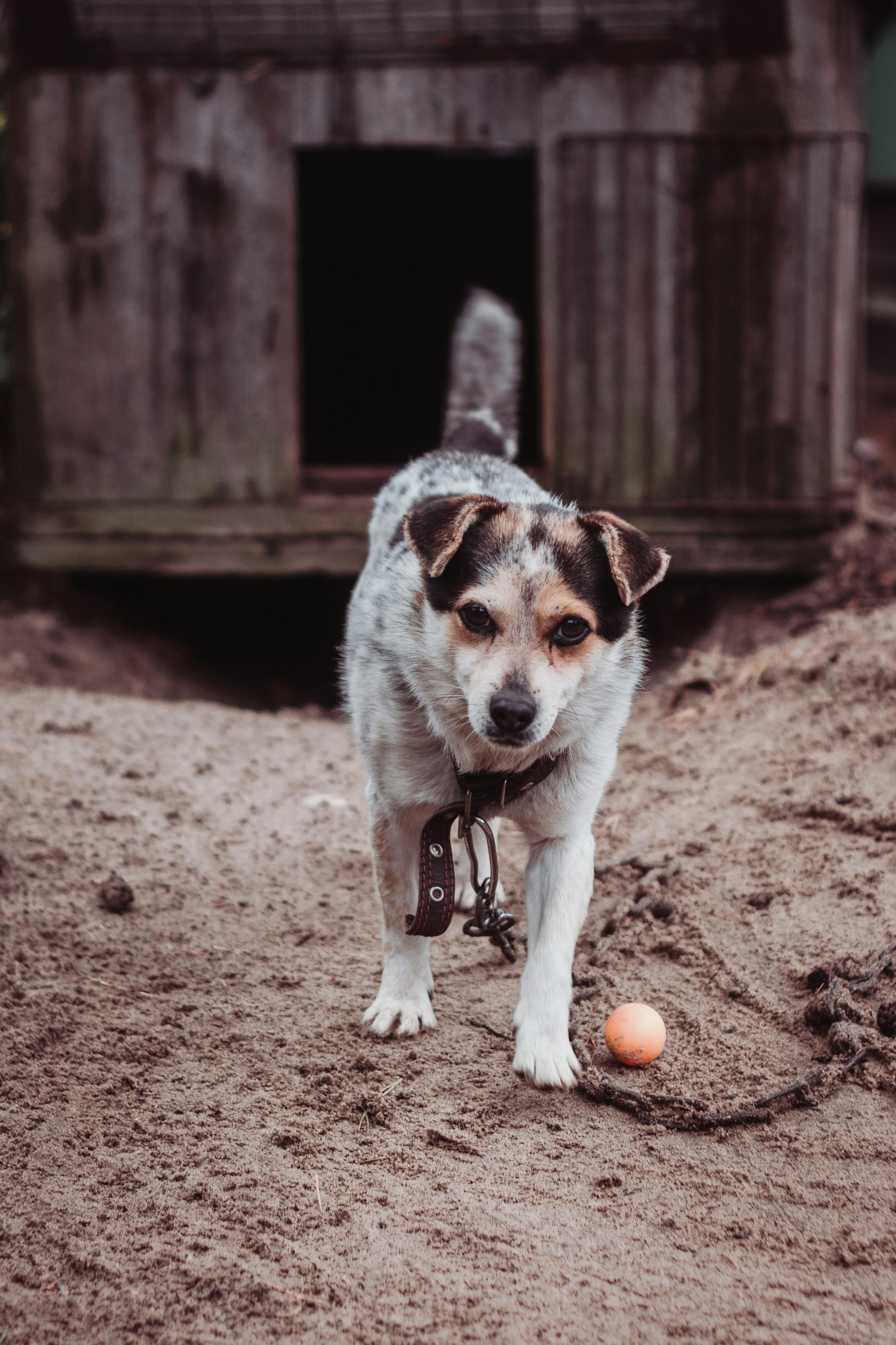 Animated Walpaper Photos, Download The BEST Free Animated Walpaper ...