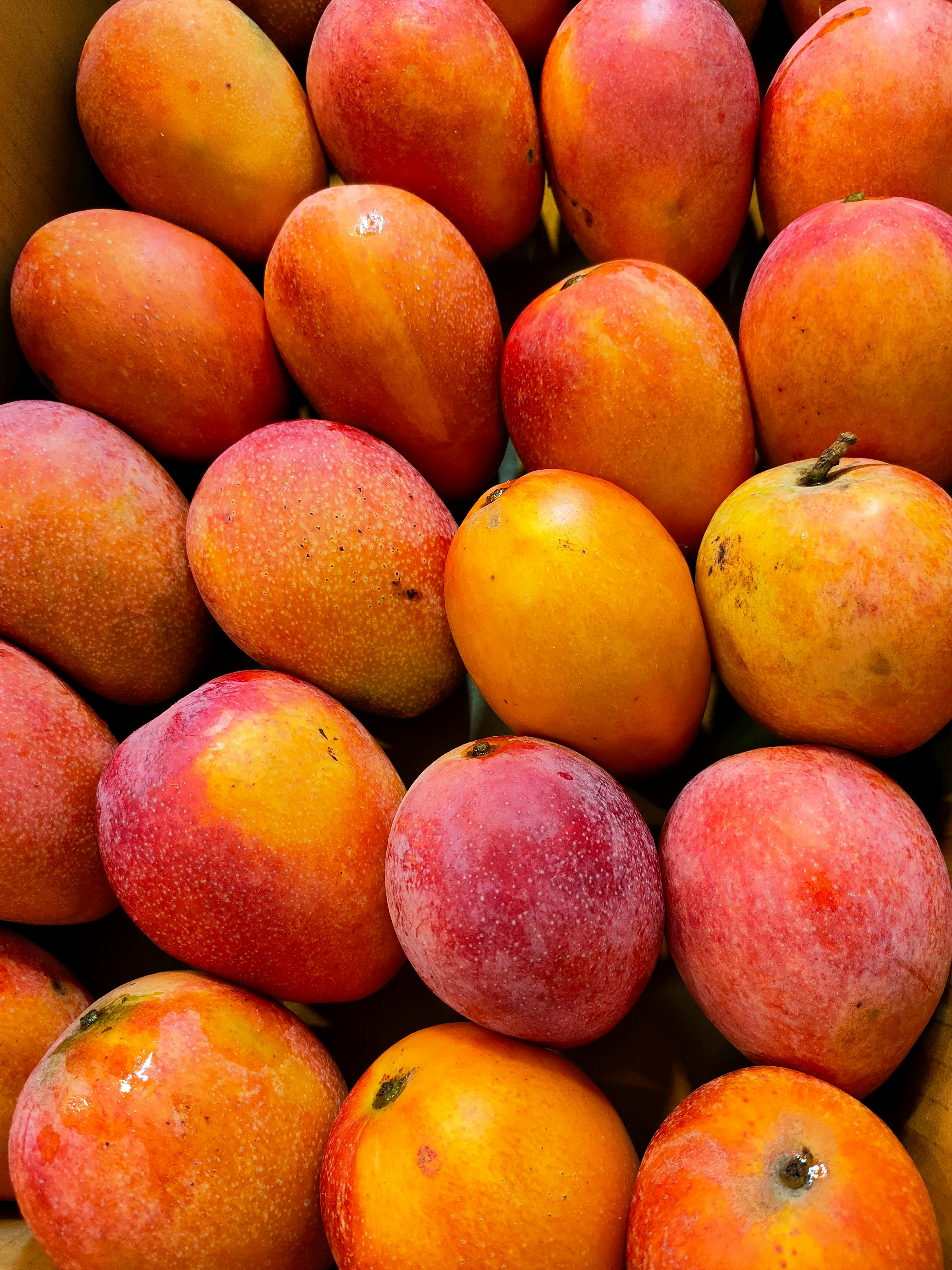 Close-up of Mangoes · Free Stock Photo