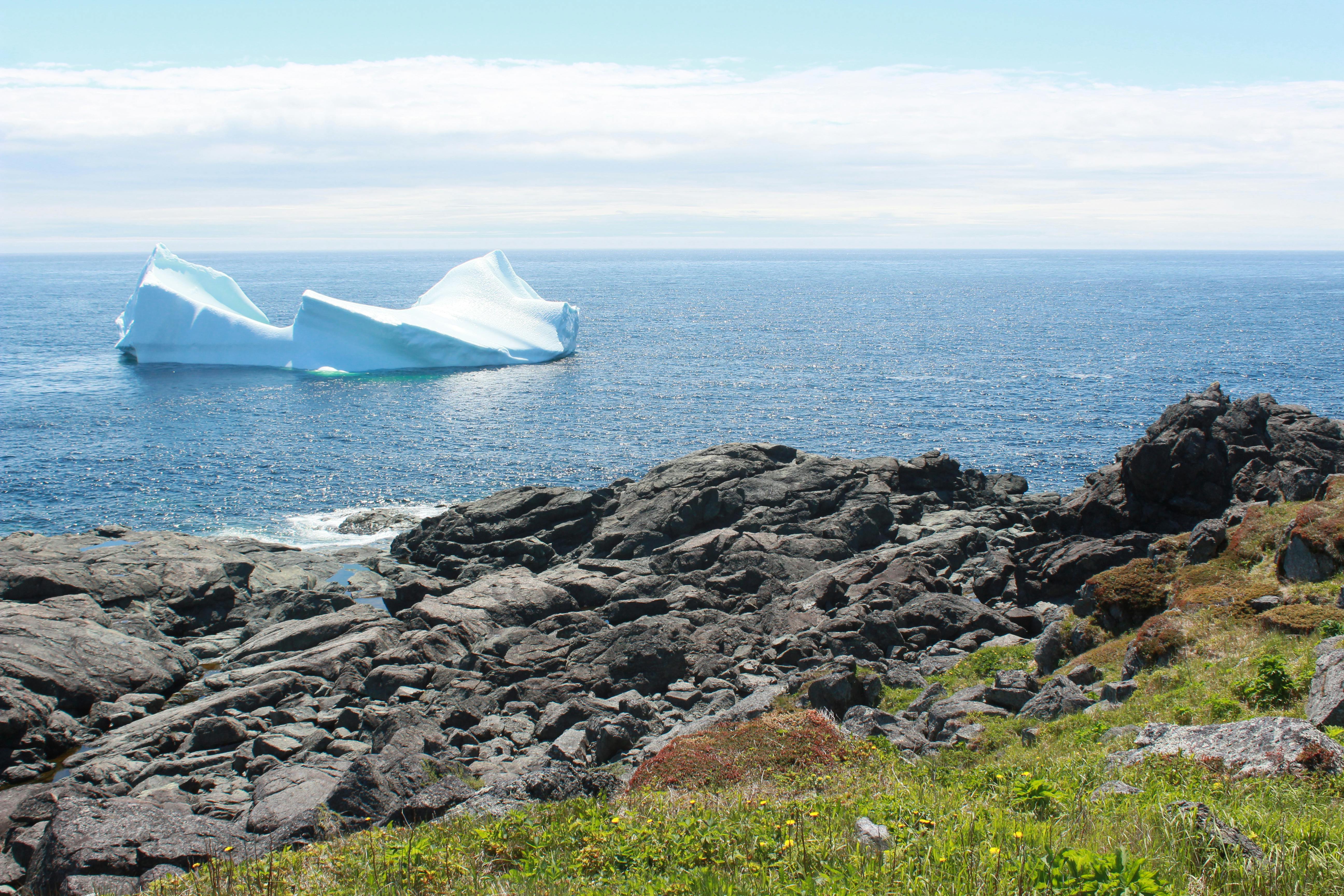 Free stock photo of canada, iceberg, newfoundland