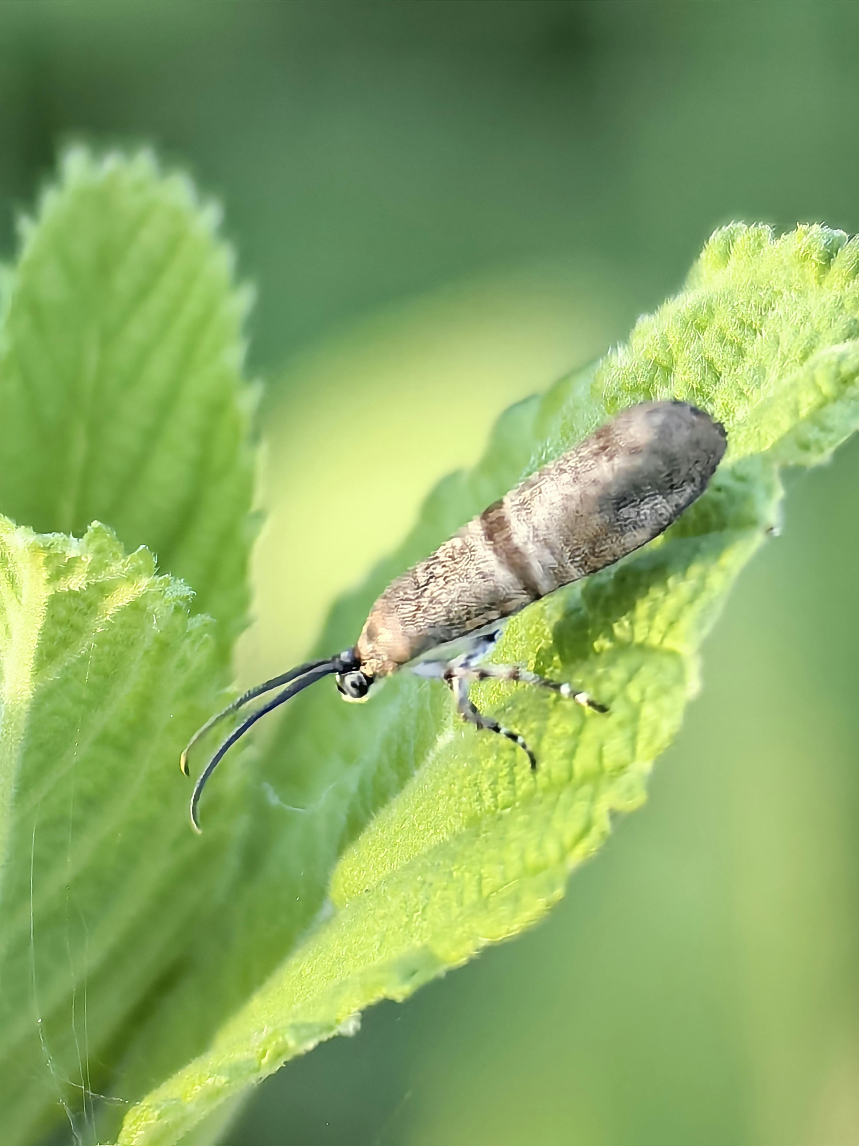 Rashed Sikder - Photography