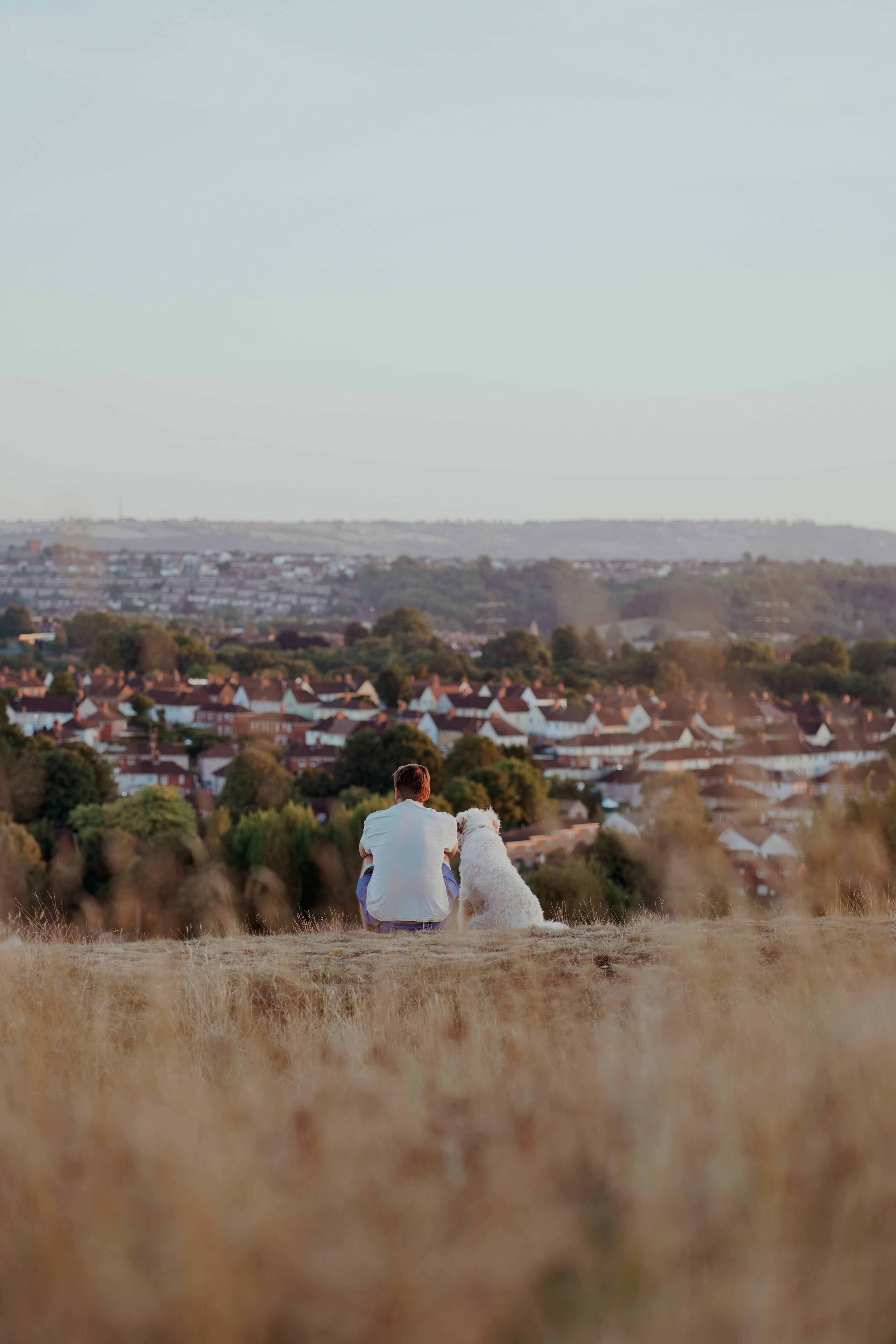 Back View of a Couple Sitting on the Pew · Free Stock Photo