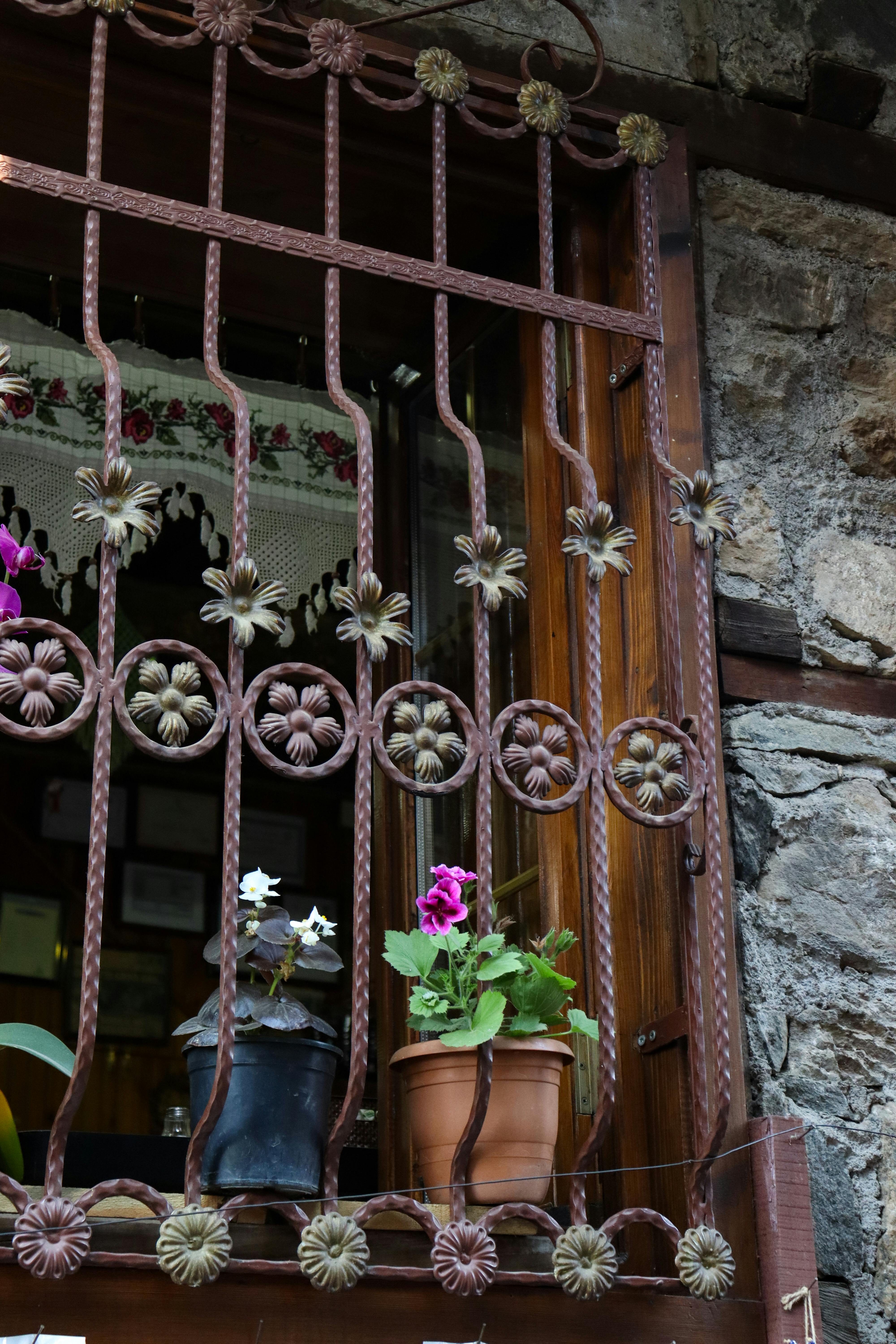 Charming Window with Potted Plants Display · Free Stock Photo