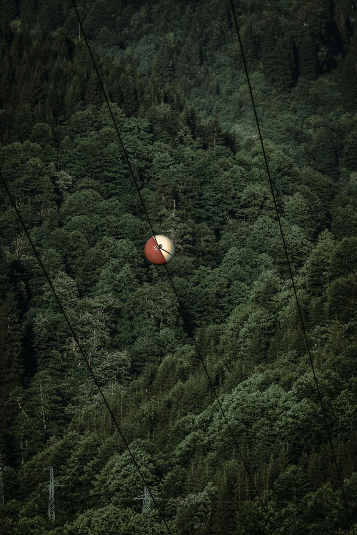 Forest Above Photos, Download The BEST Free Forest Above Stock Photos ...