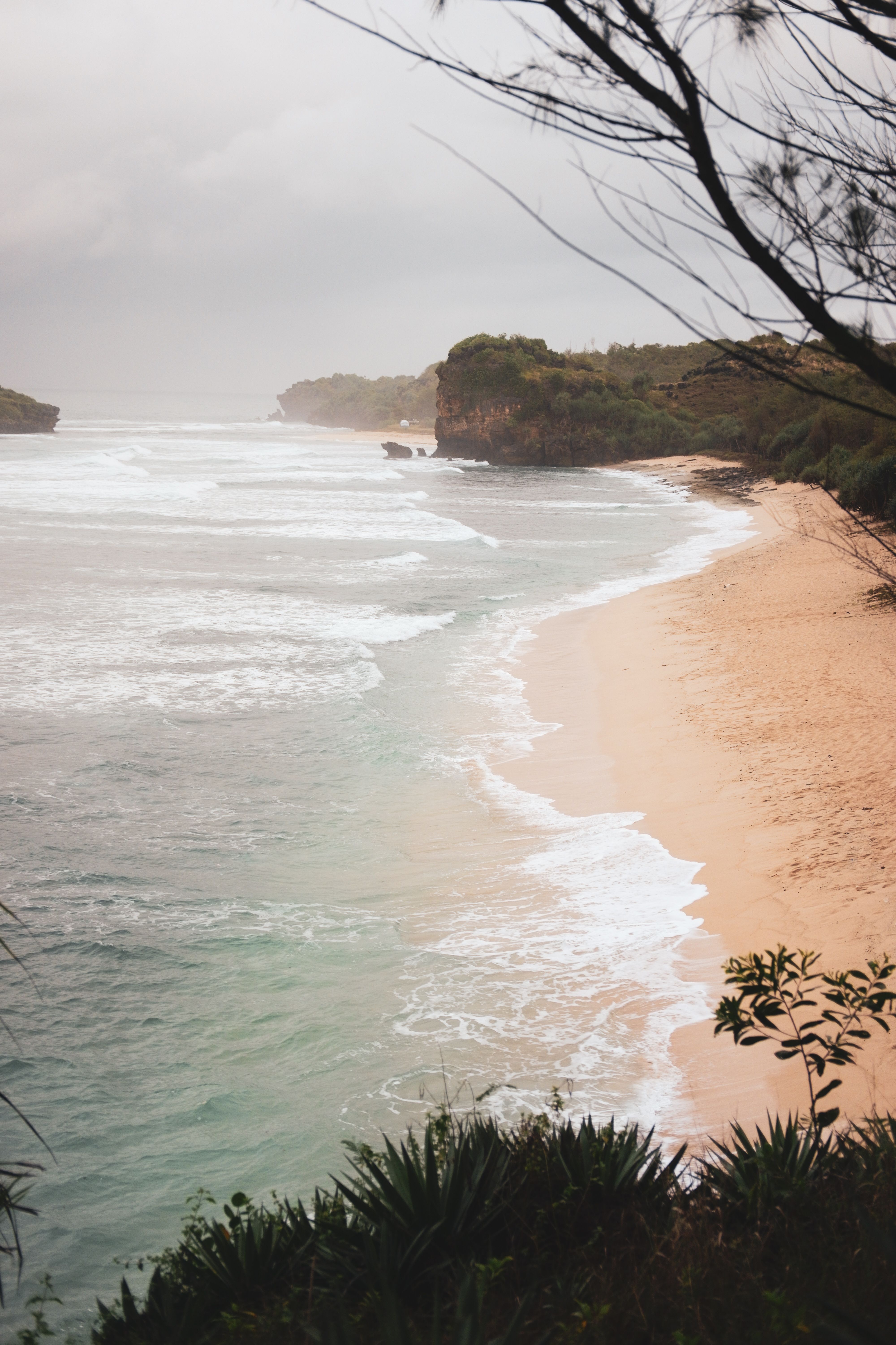 Waves Rolling on a Sea Beach in Morning Mist · Free Stock Photo