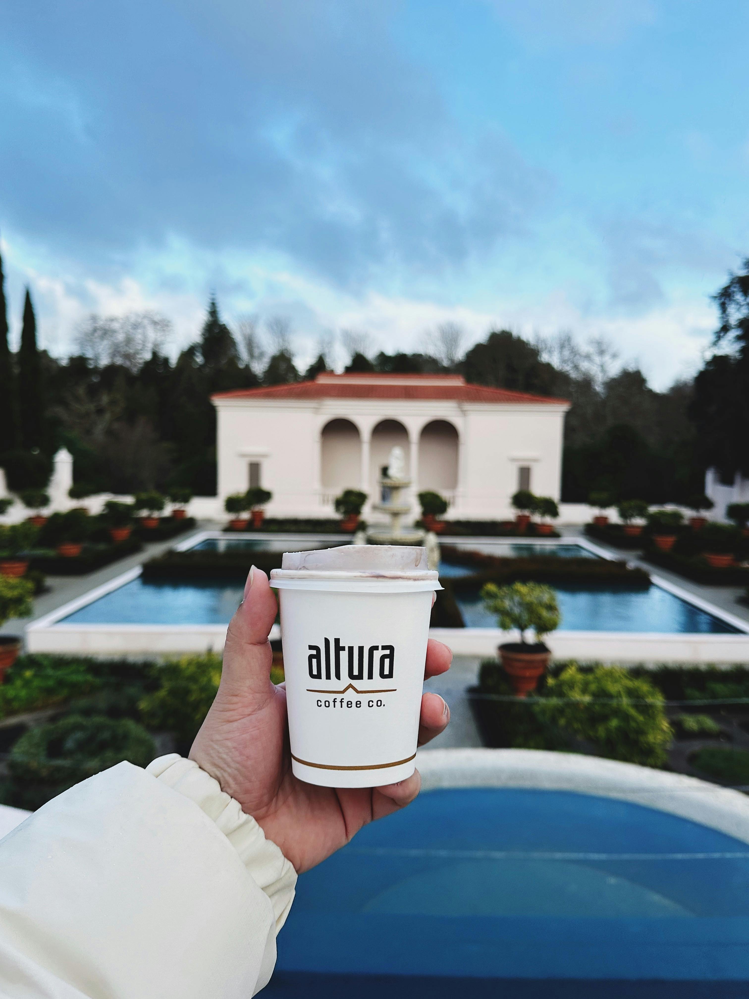 Nicholas Ang - 摄影