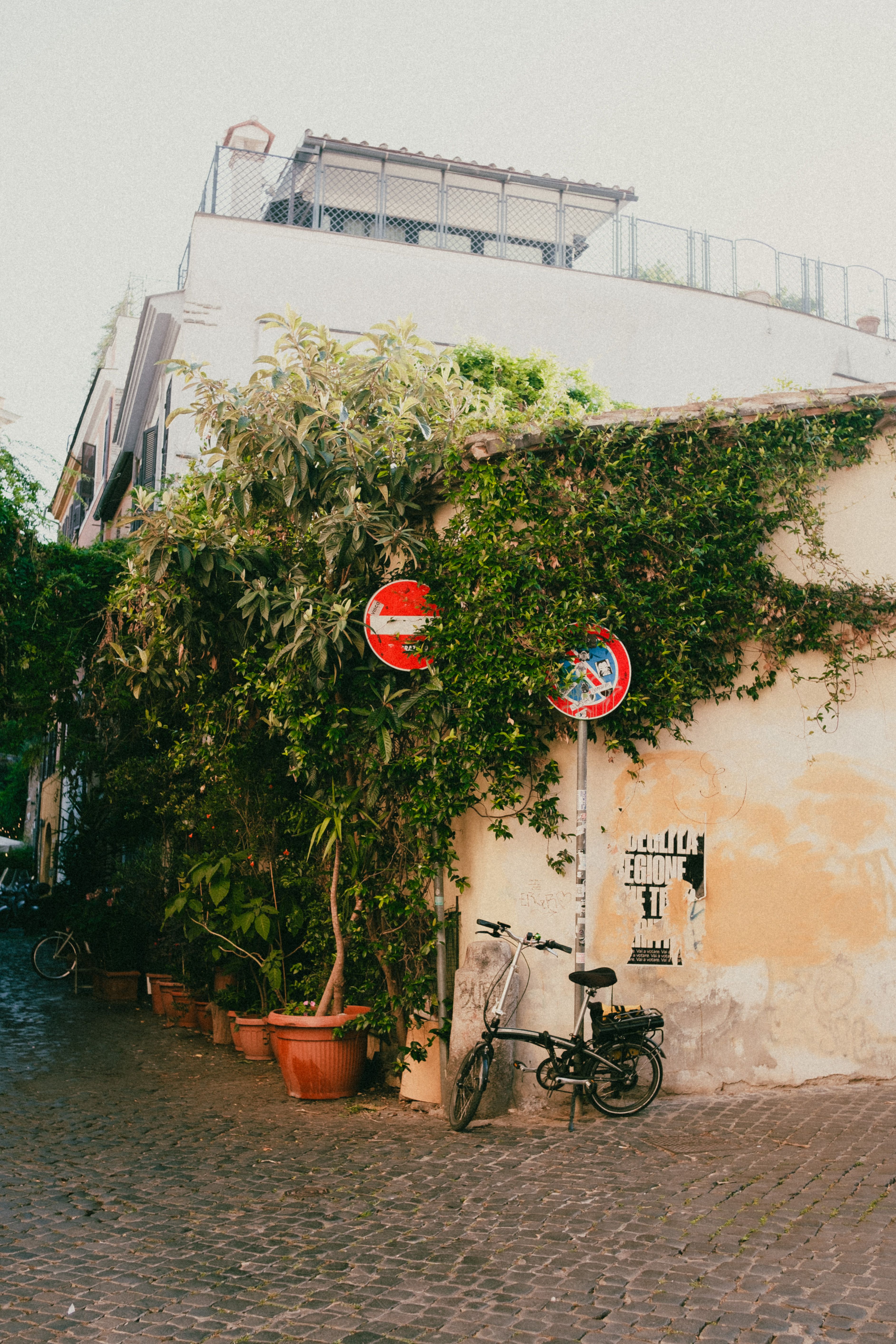 Trees and Ivy over Building on Street Corner · Free Stock Photo