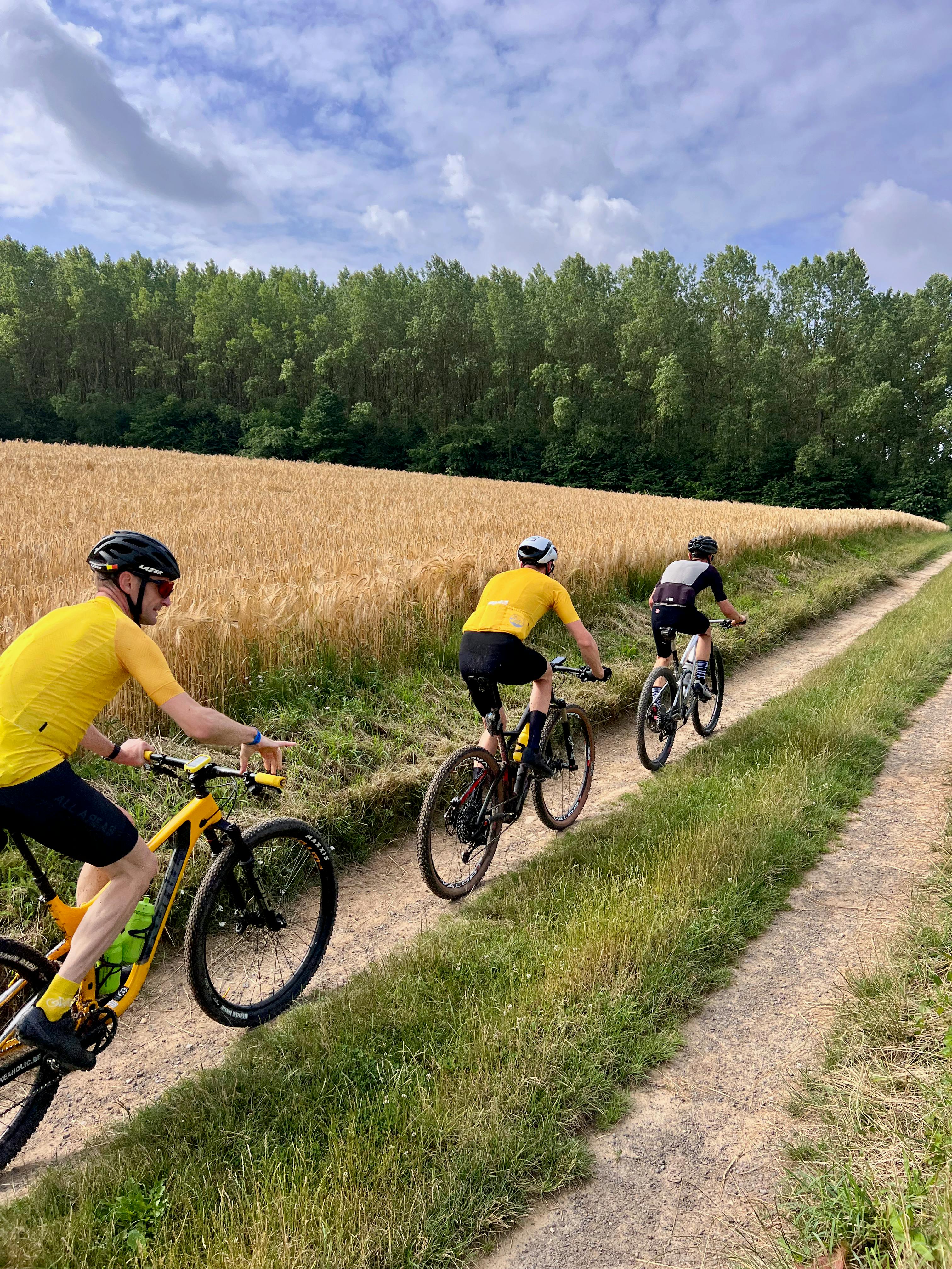Cyclists on a Country Road · Free Stock Photo