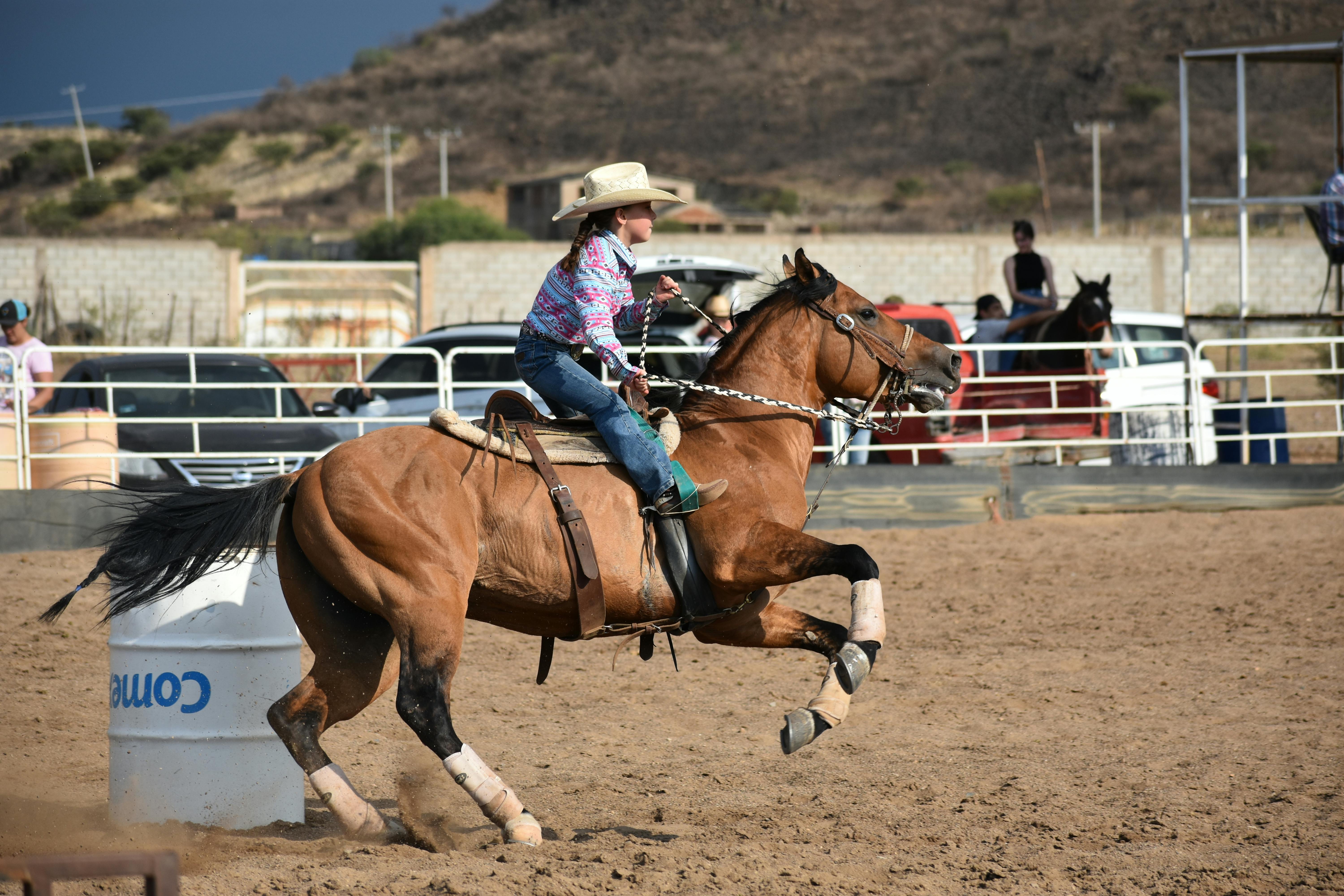 Horse Racing Photos, Download The BEST Free Horse Racing Stock Photos ...