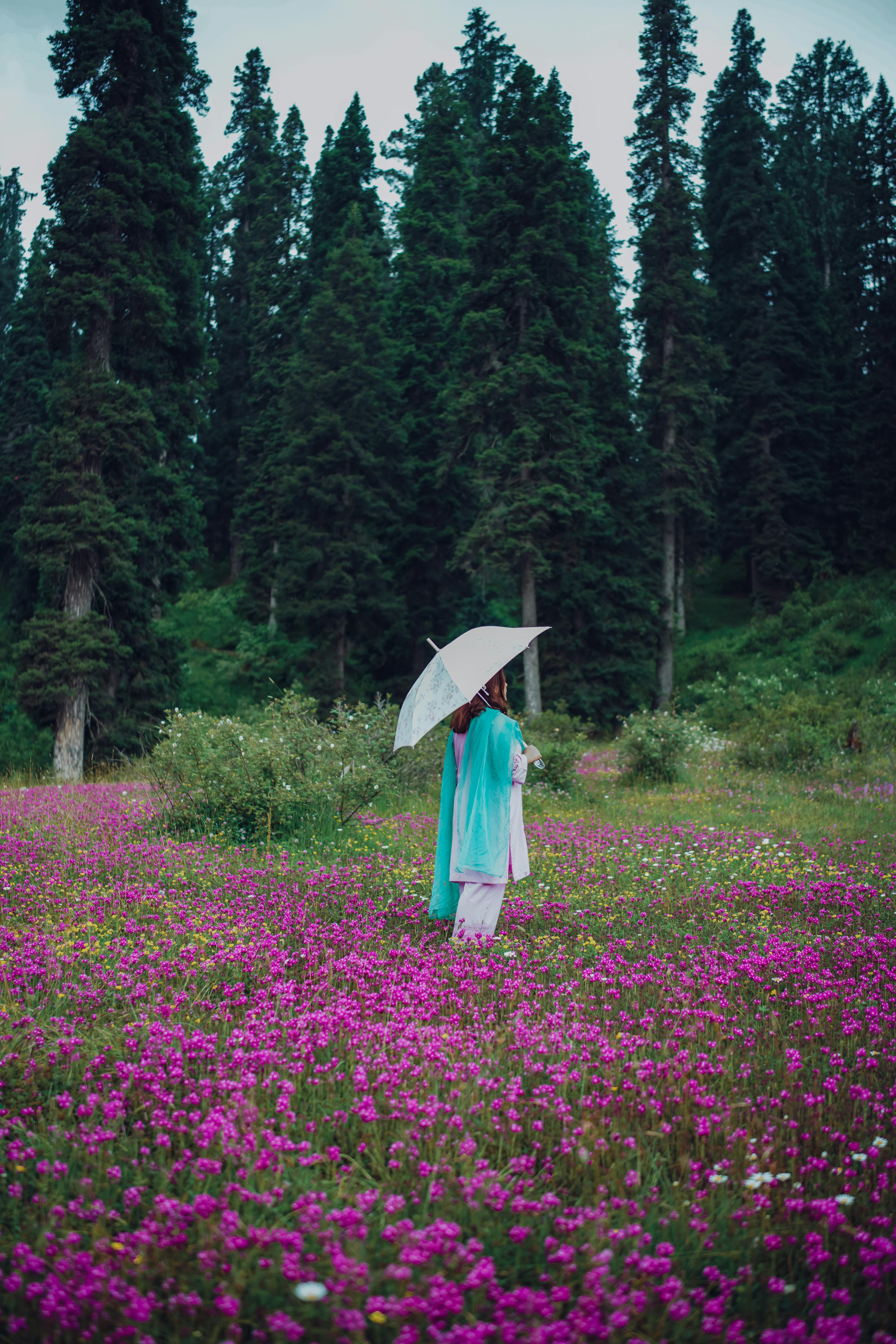 Yusmarg or Yousmarg Kashmir · Free Stock Photo