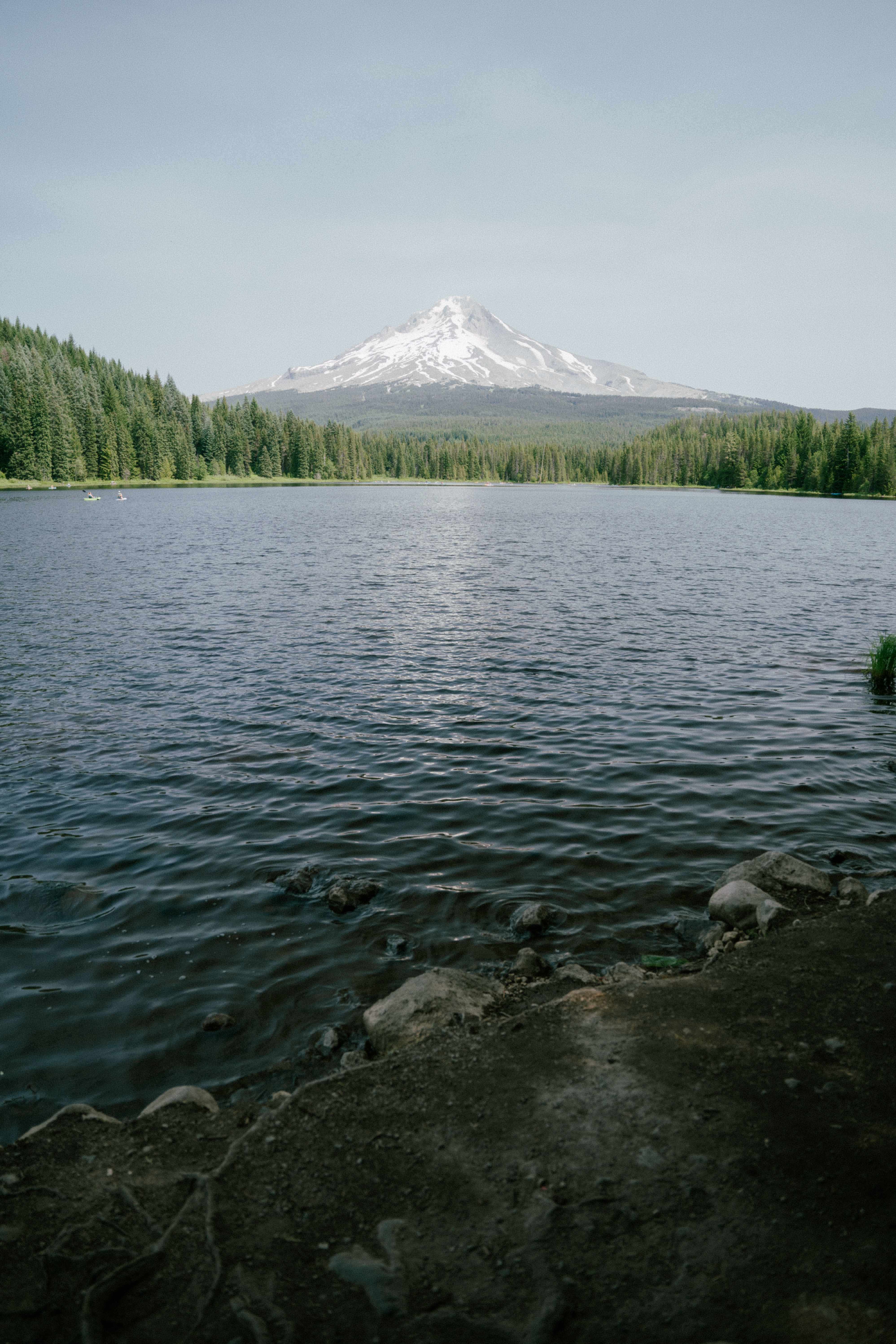Pnw Summer Photos, Download The BEST Free Pnw Summer Stock Photos & HD ...