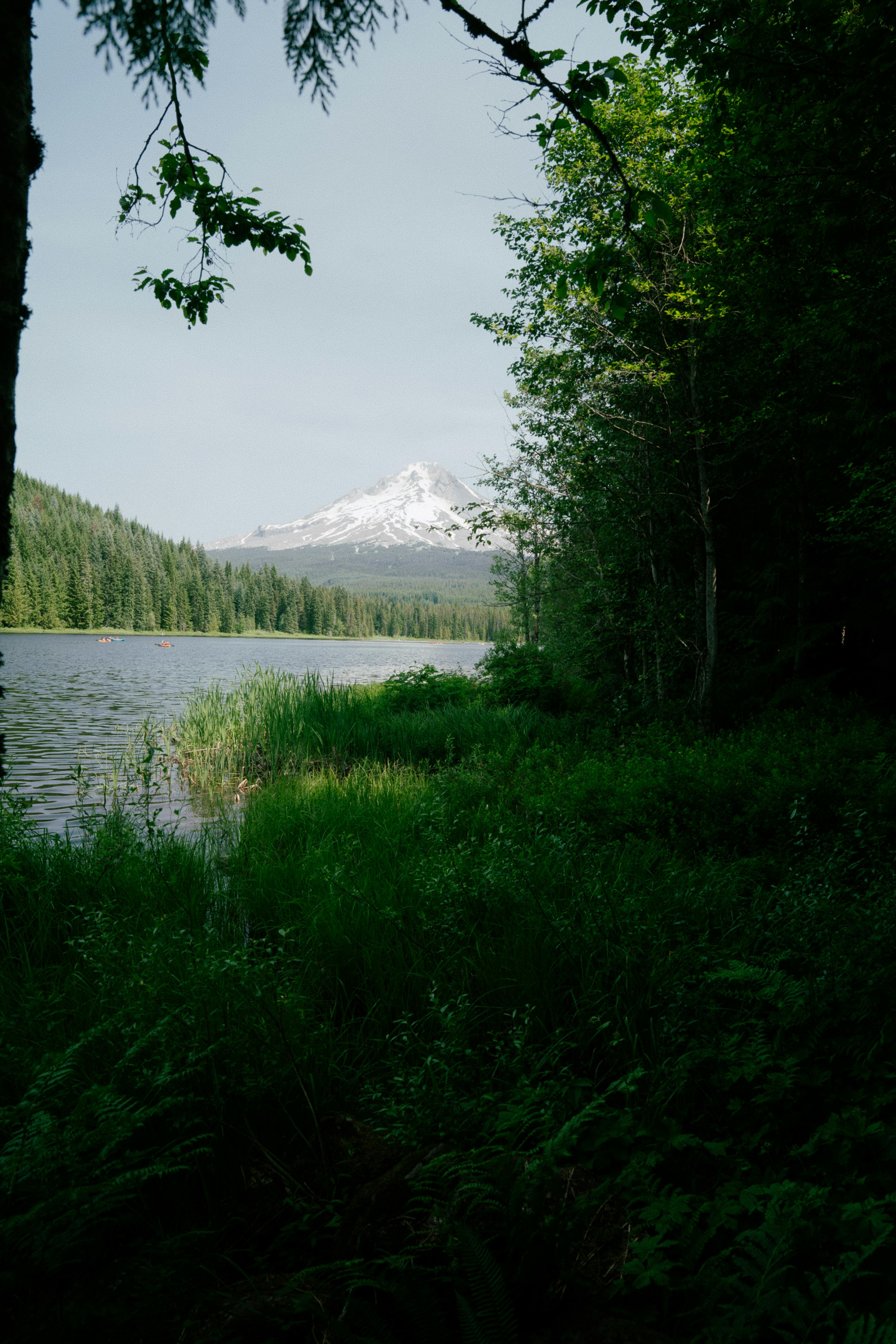 Pnw Photos, Download The BEST Free Pnw Stock Photos & HD Images