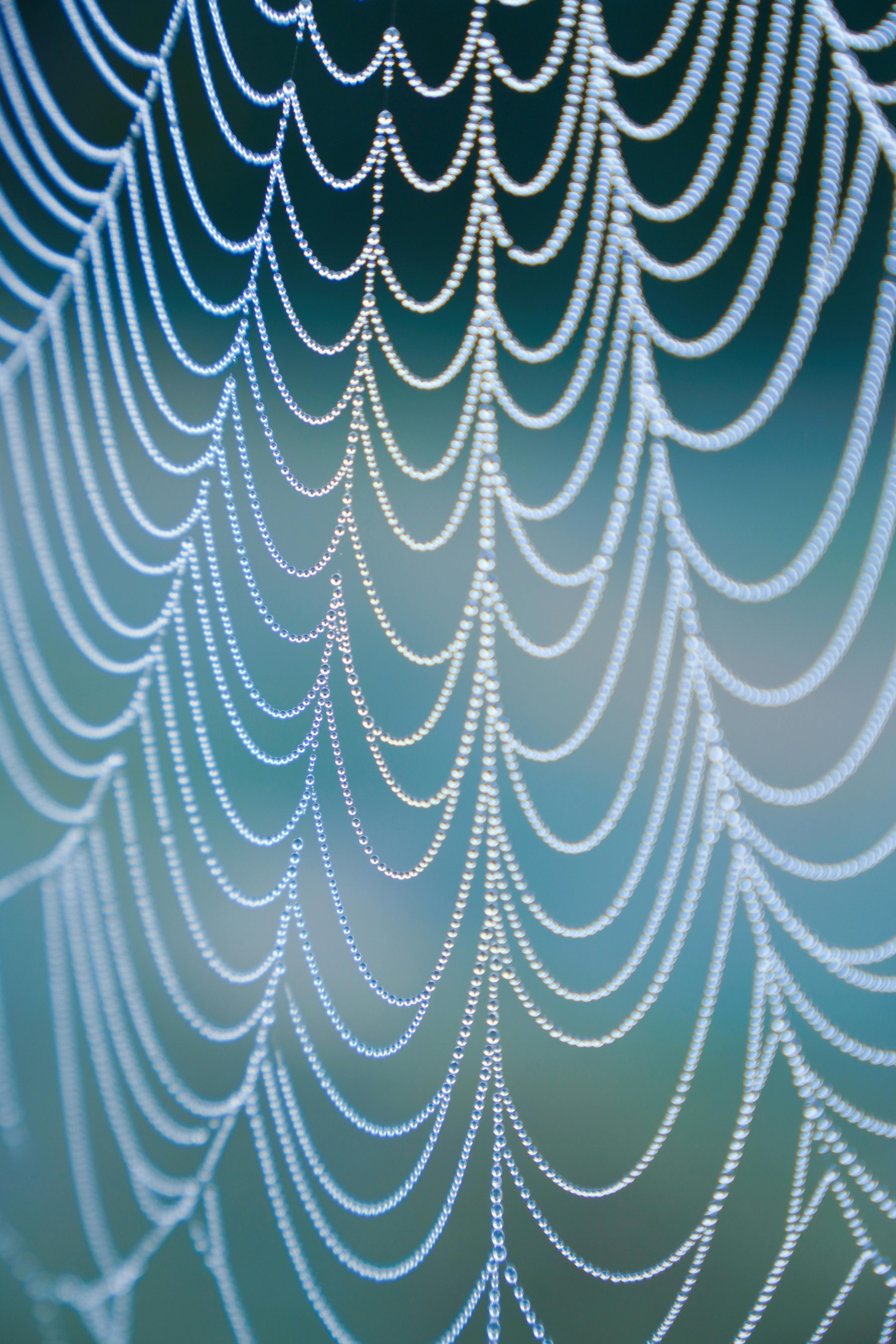 Close up of Black, Net Surface · Free Stock Photo