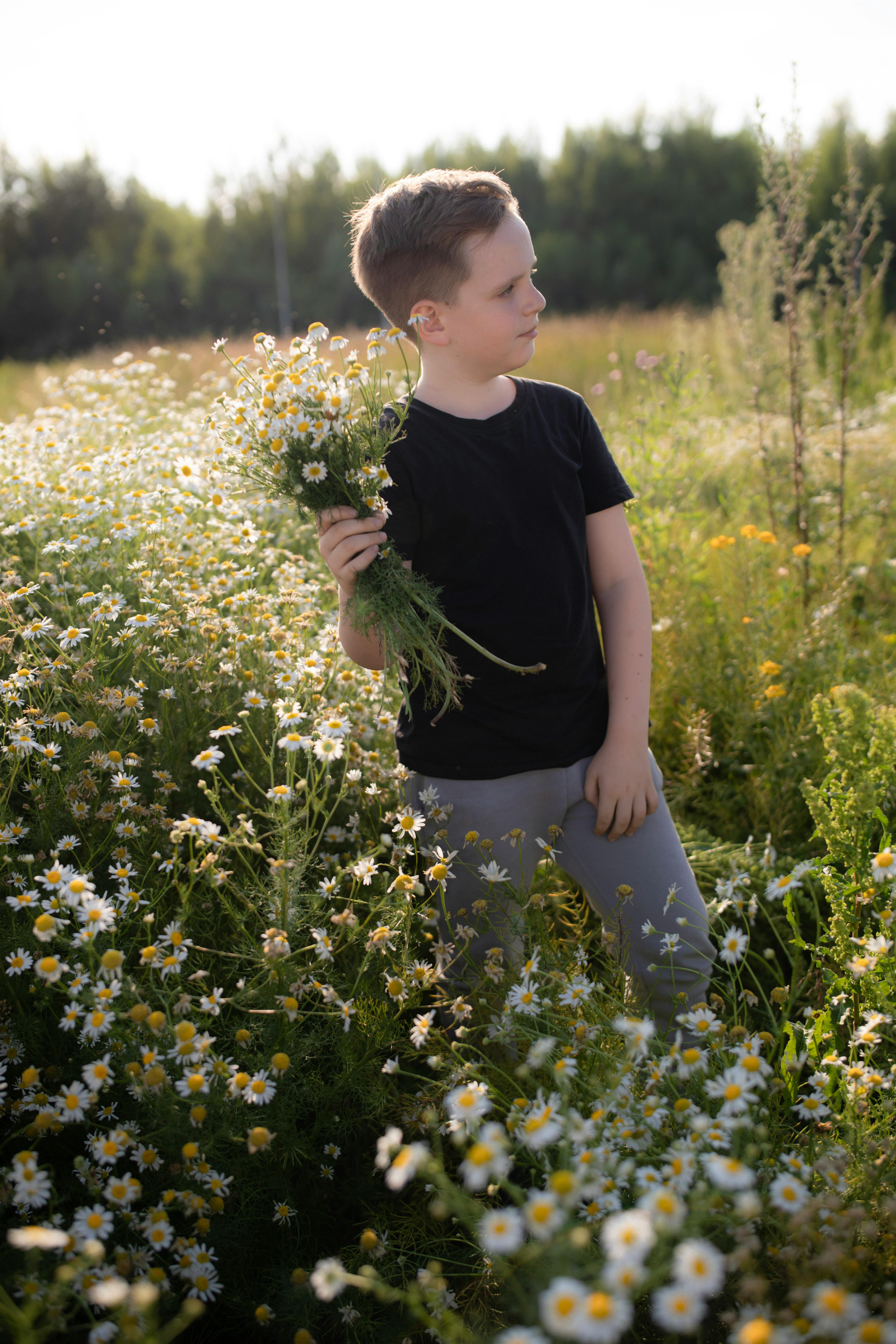Boy with Flowers on Meadow · Free Stock Photo