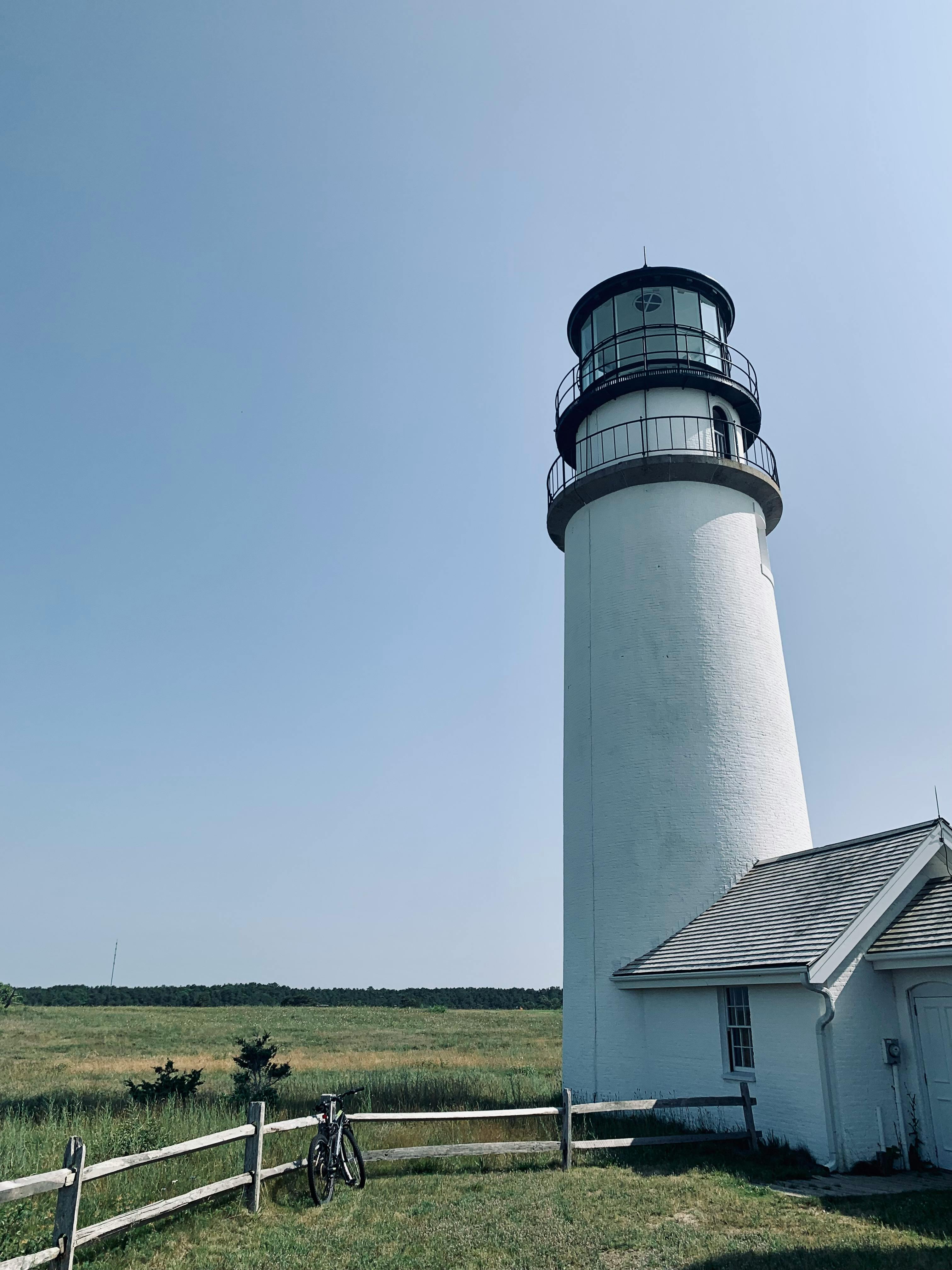 Cod Photos, Download The BEST Free Cod Stock Photos & HD Images