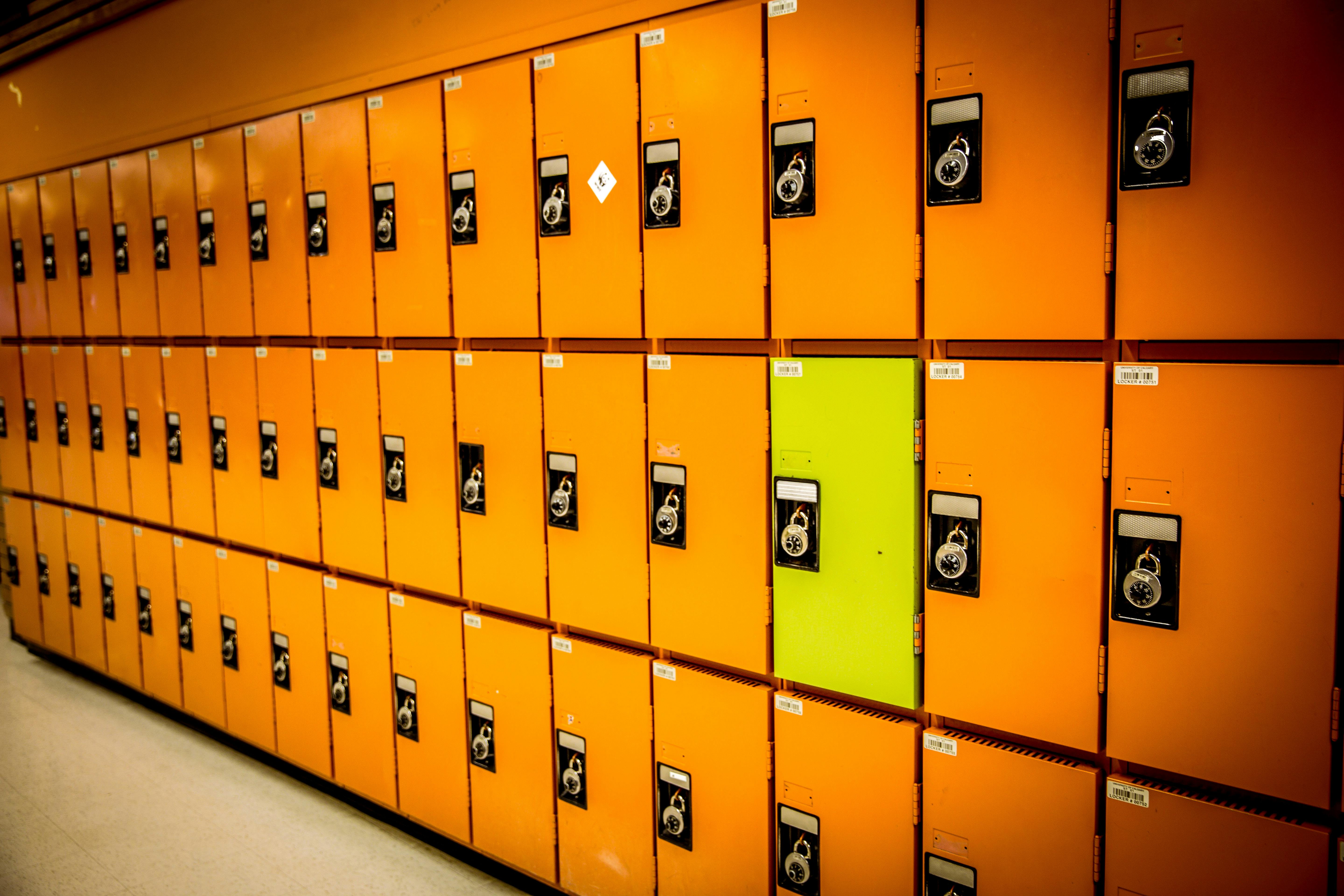 Free stock photo of different, education, lockers