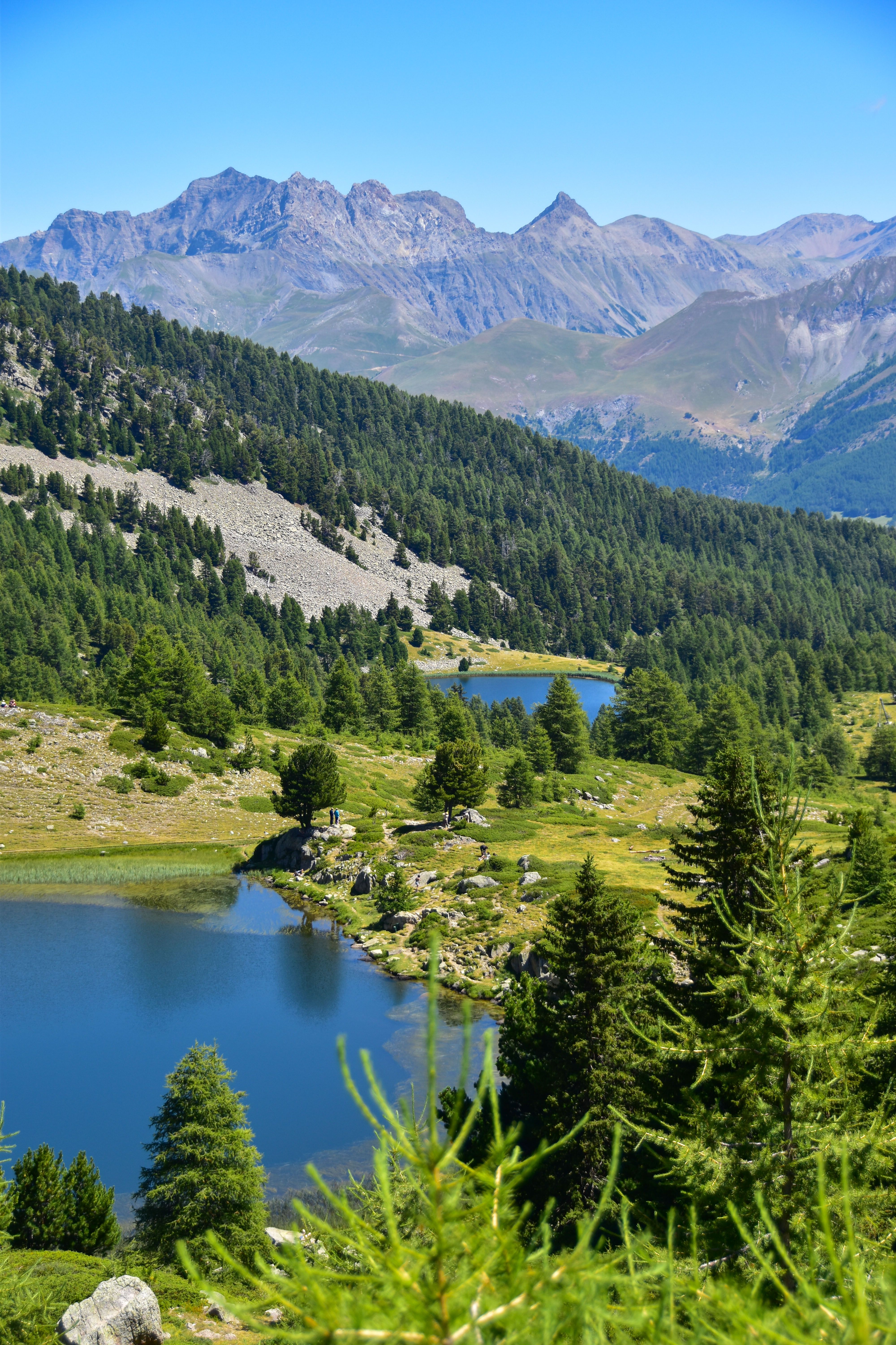 Forested Valley with Lakes · Free Stock Photo