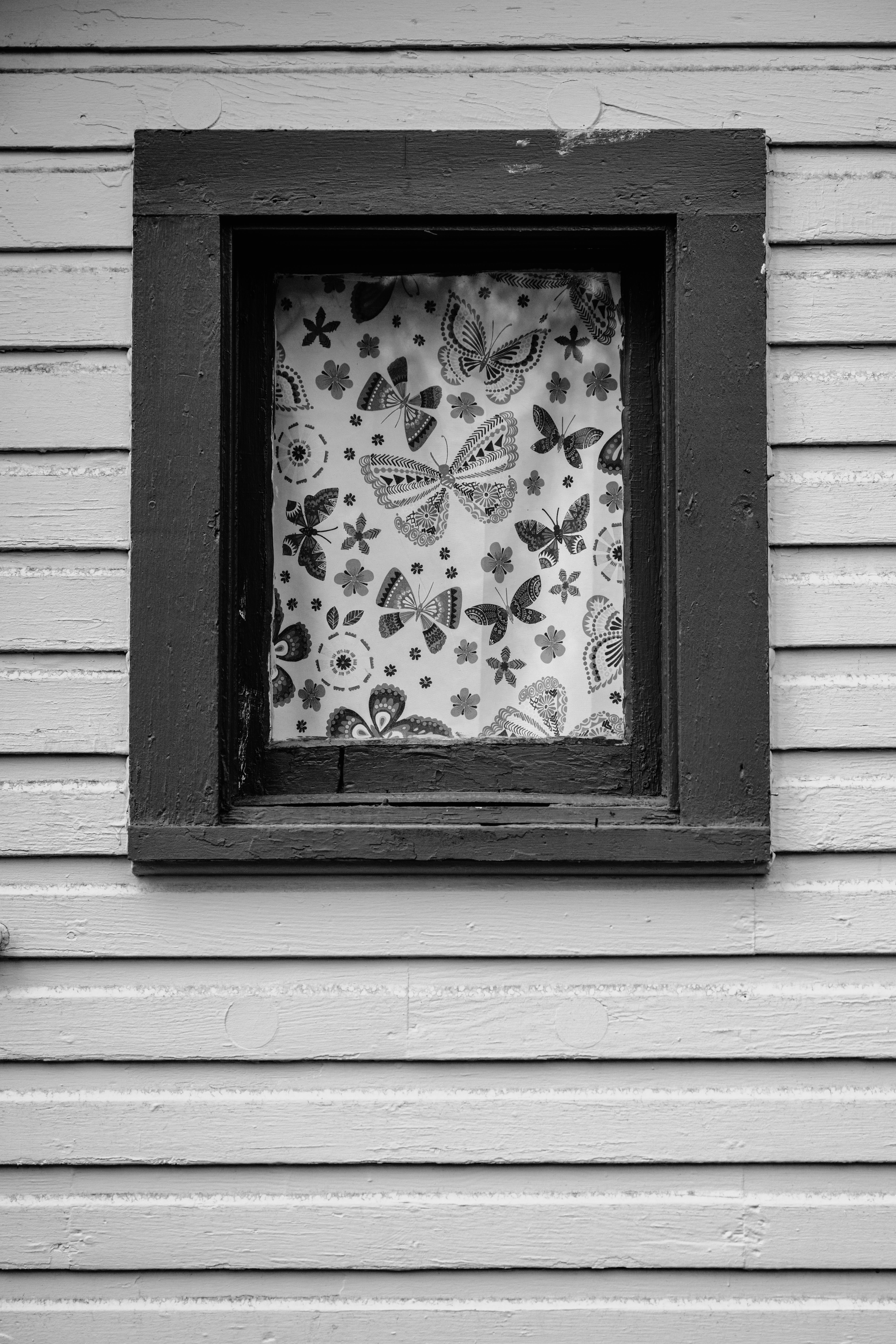 Curtain with Butterflies on a Window in Black and White · Free Stock Photo