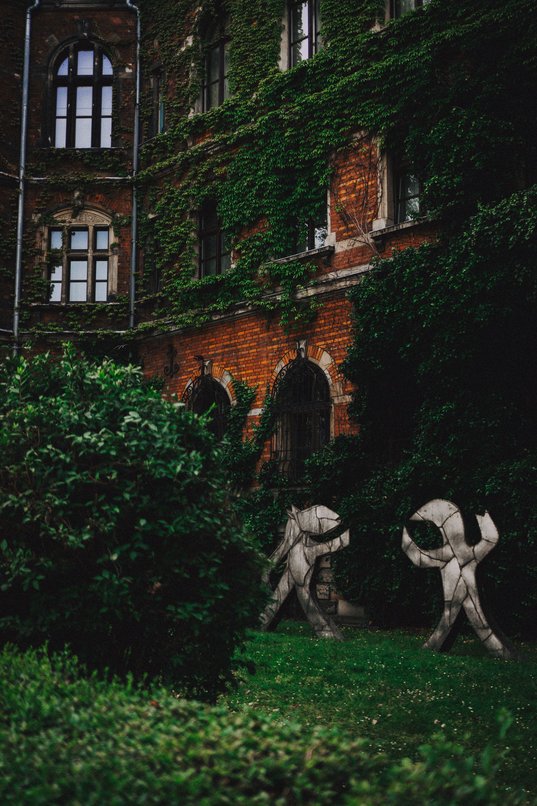 Brick Wall of Building Overgrown with Ivy · Free Stock Photo