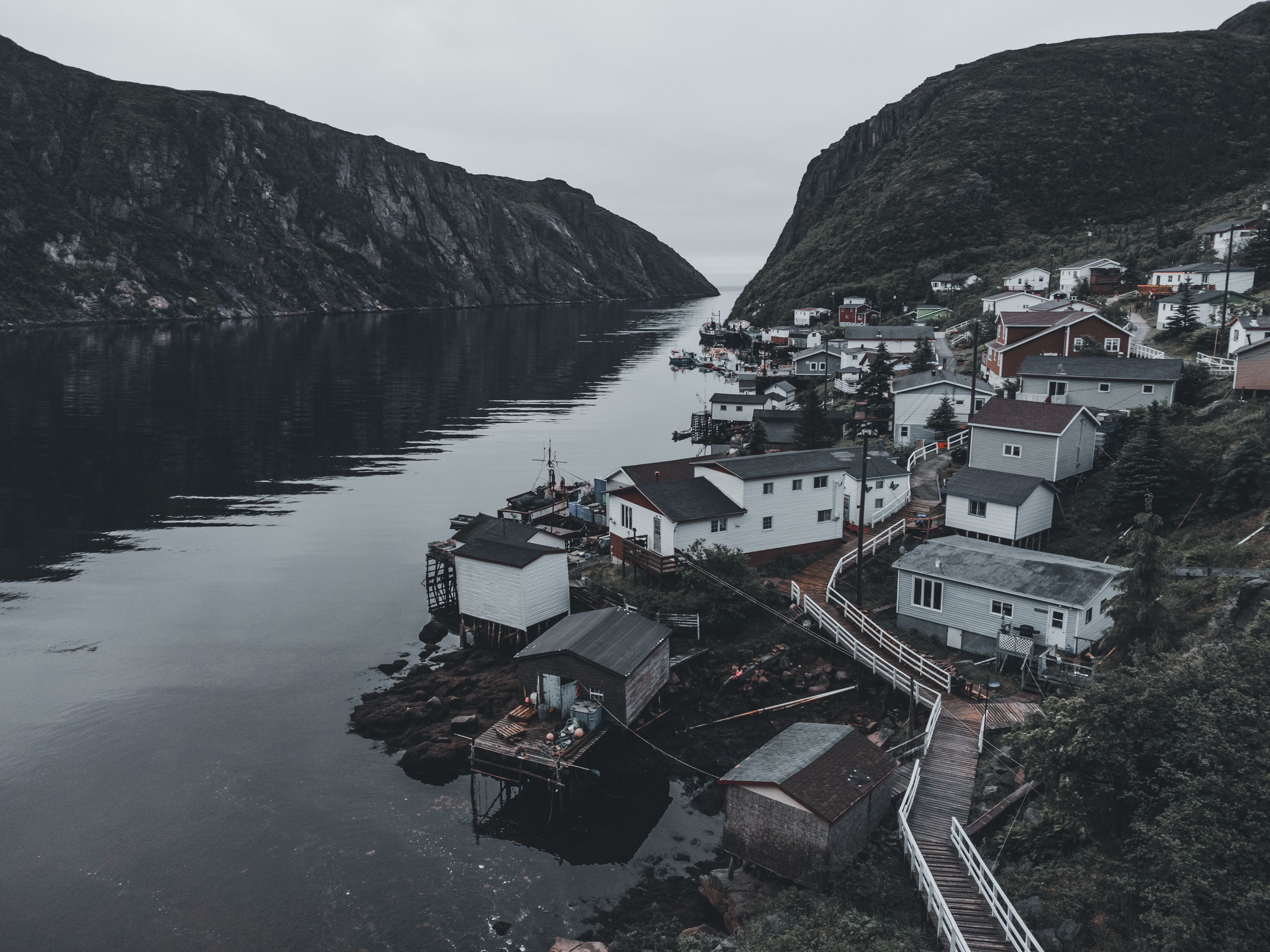 Fjord Opening up to Sea · Free Stock Photo