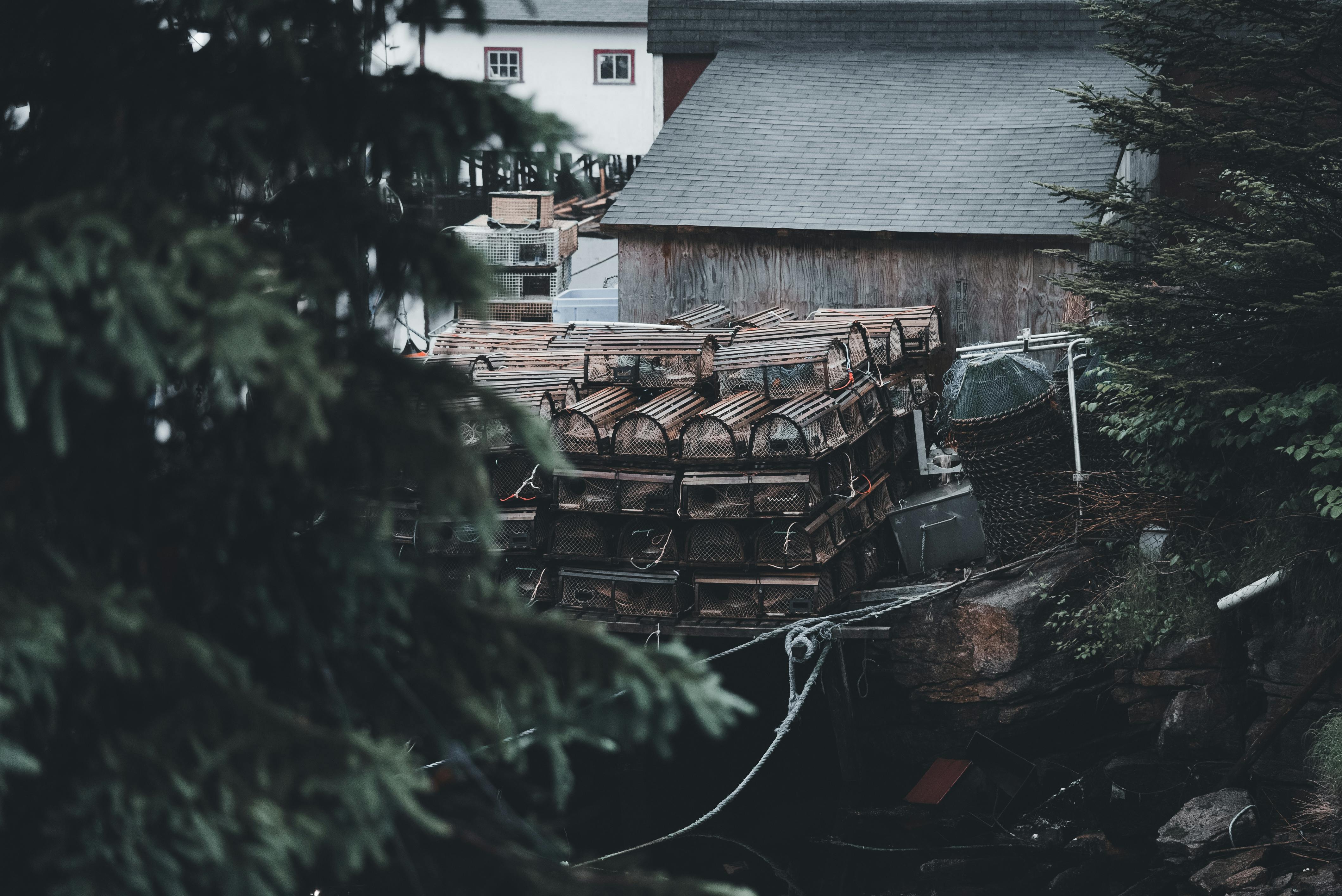 Wooden Traps Photos, Download The BEST Free Wooden Traps Stock Photos ...