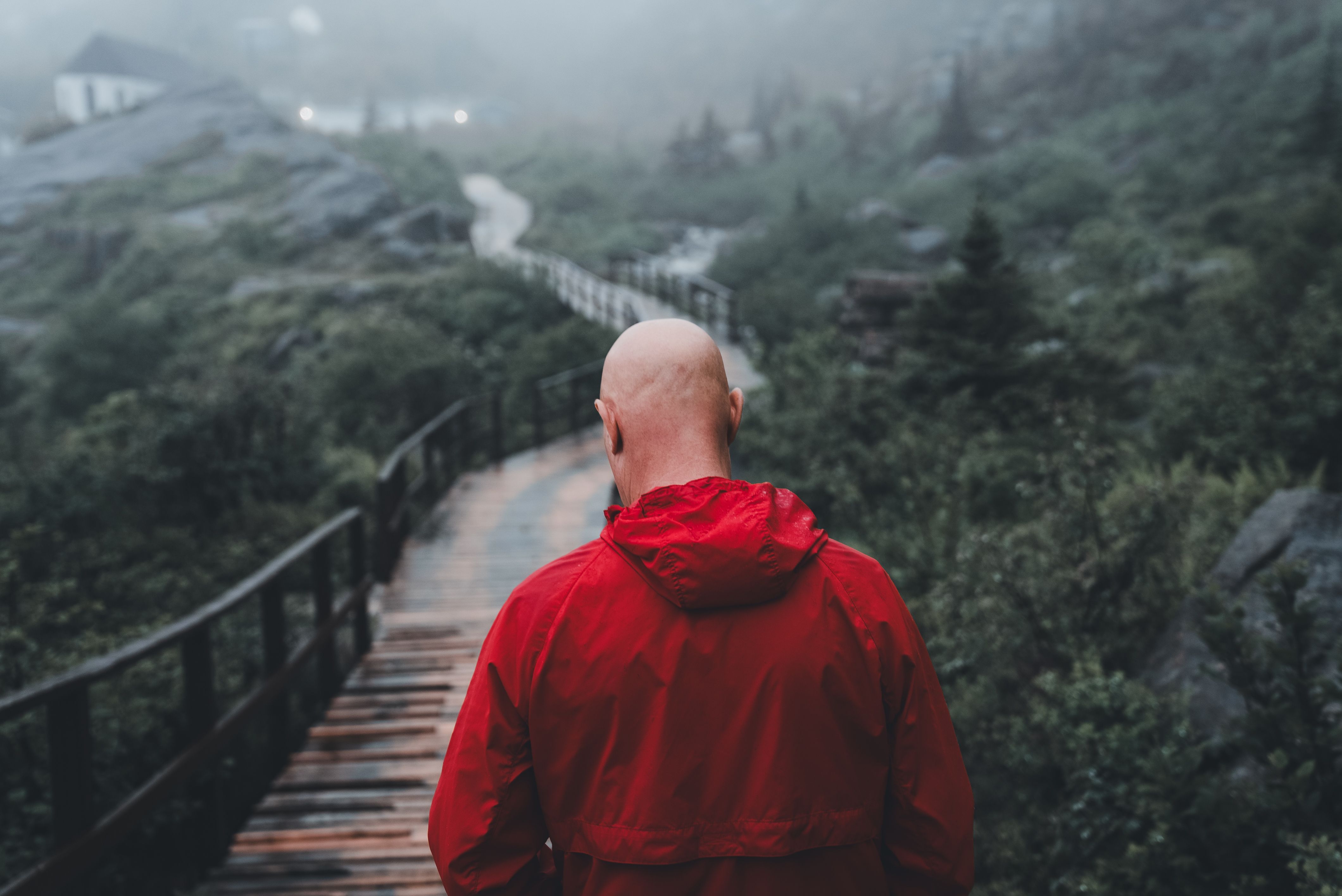 Man Walking on Wet Wooden Walkway · Free Stock Photo