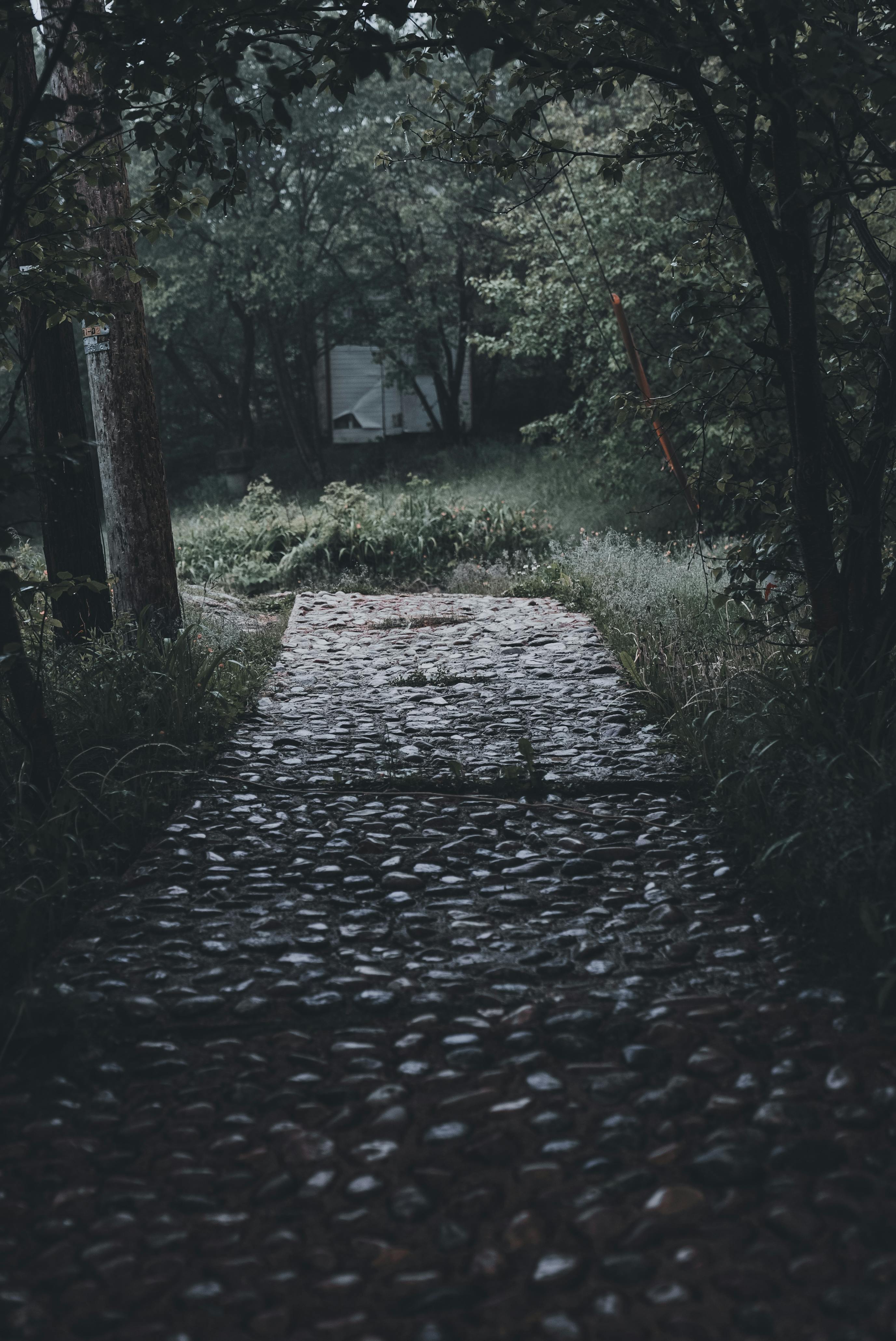 A Stone Paved Path in a Park during a Rain · Free Stock Photo