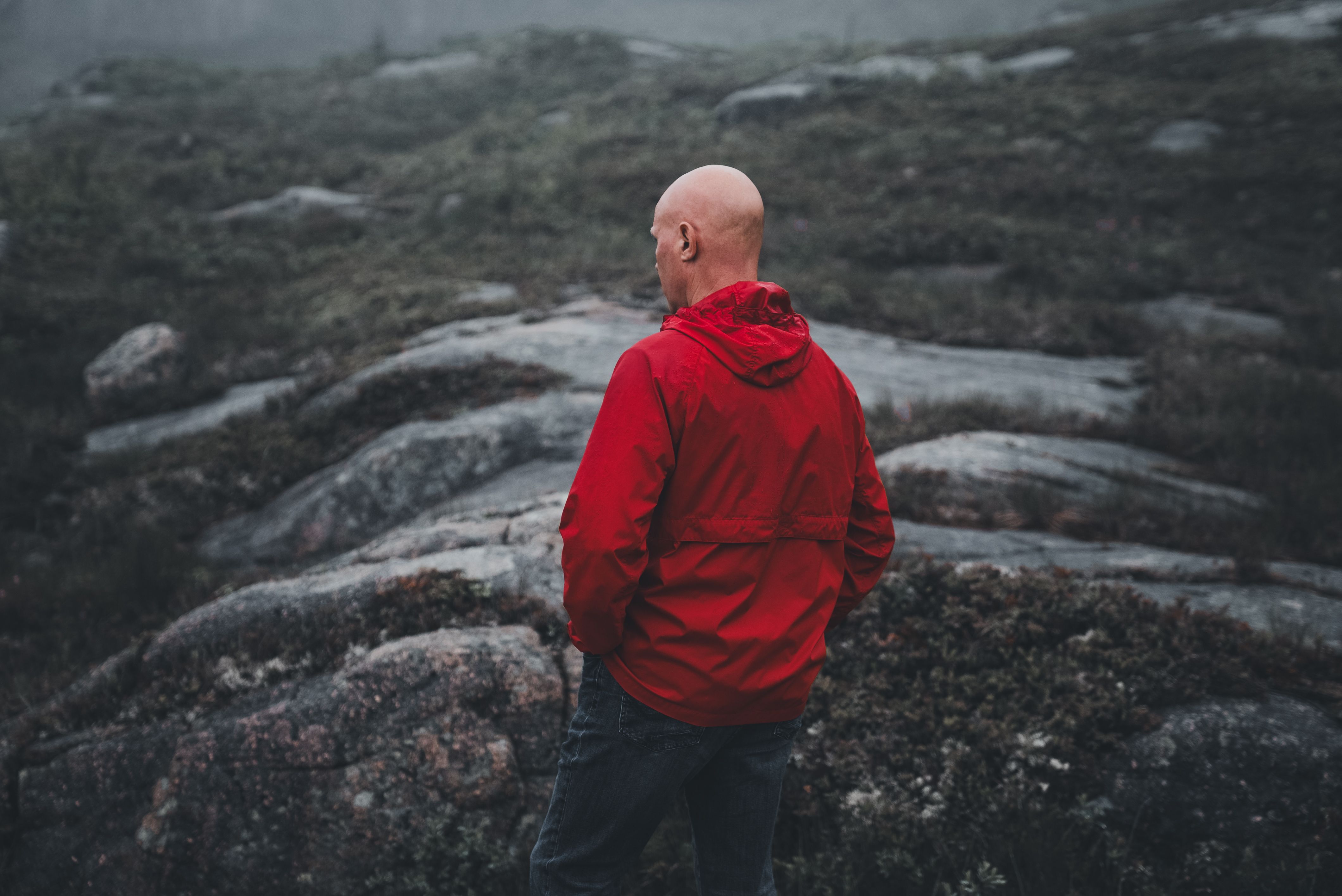 Hiker Posing in Rural Landscape · Free Stock Photo