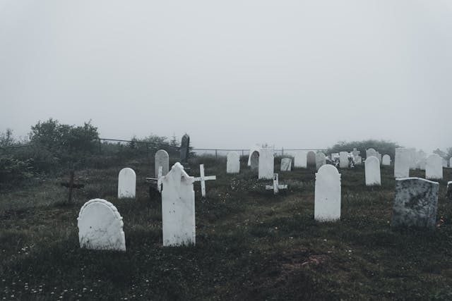 Is owning a cemetery a good investment in 2024?