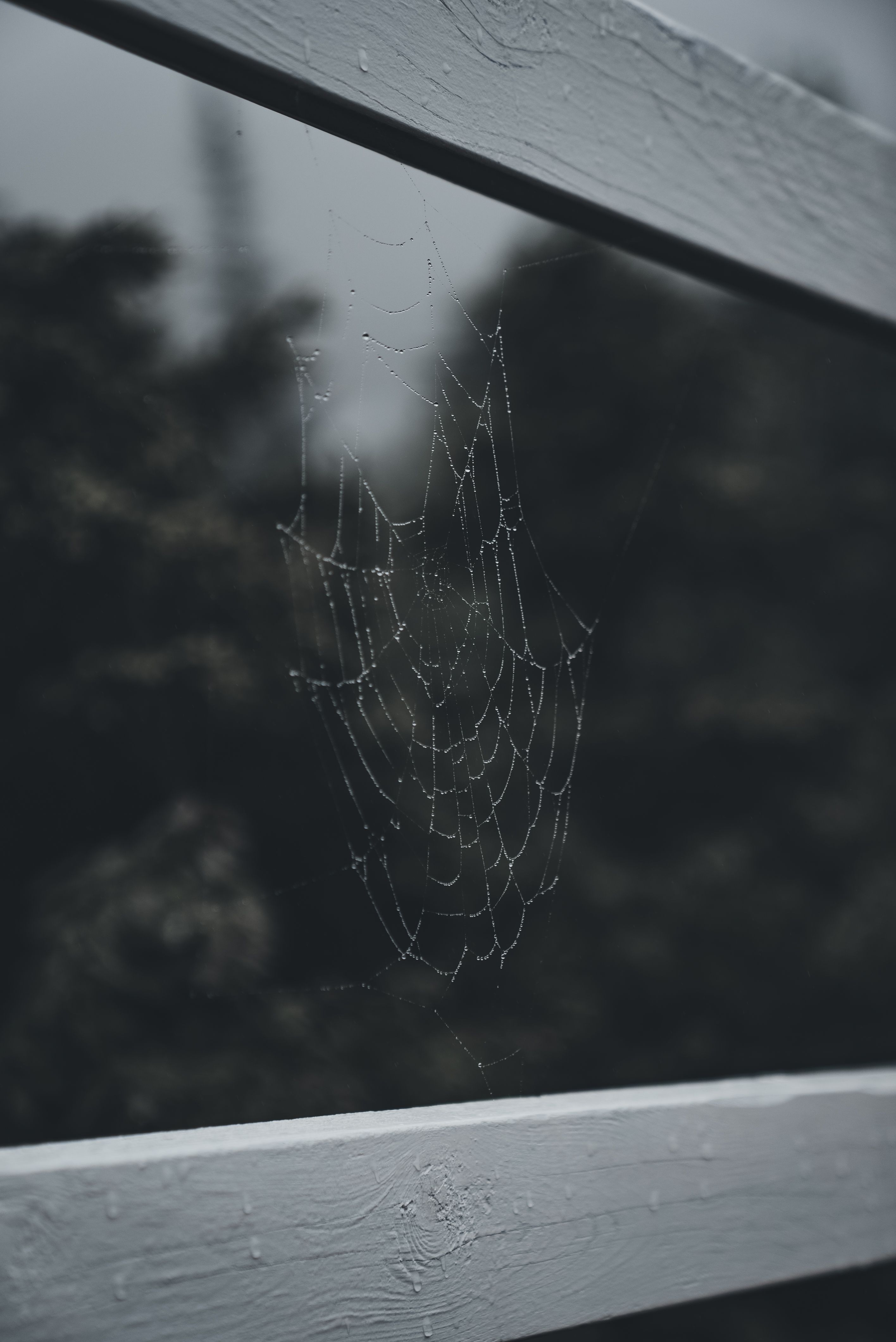 Liminal Autumn Photos, Download The BEST Free Liminal Autumn Stock ...