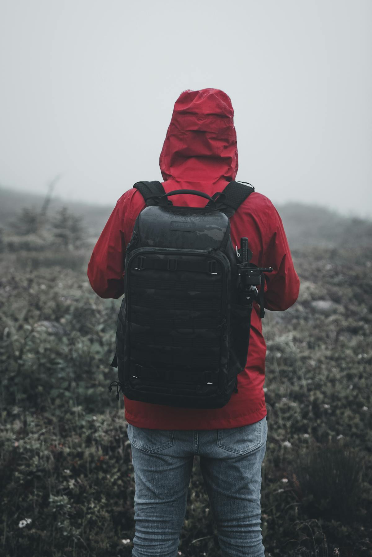 Trap Fog Backpacking Photos, Download The BEST Free Trap Fog ...