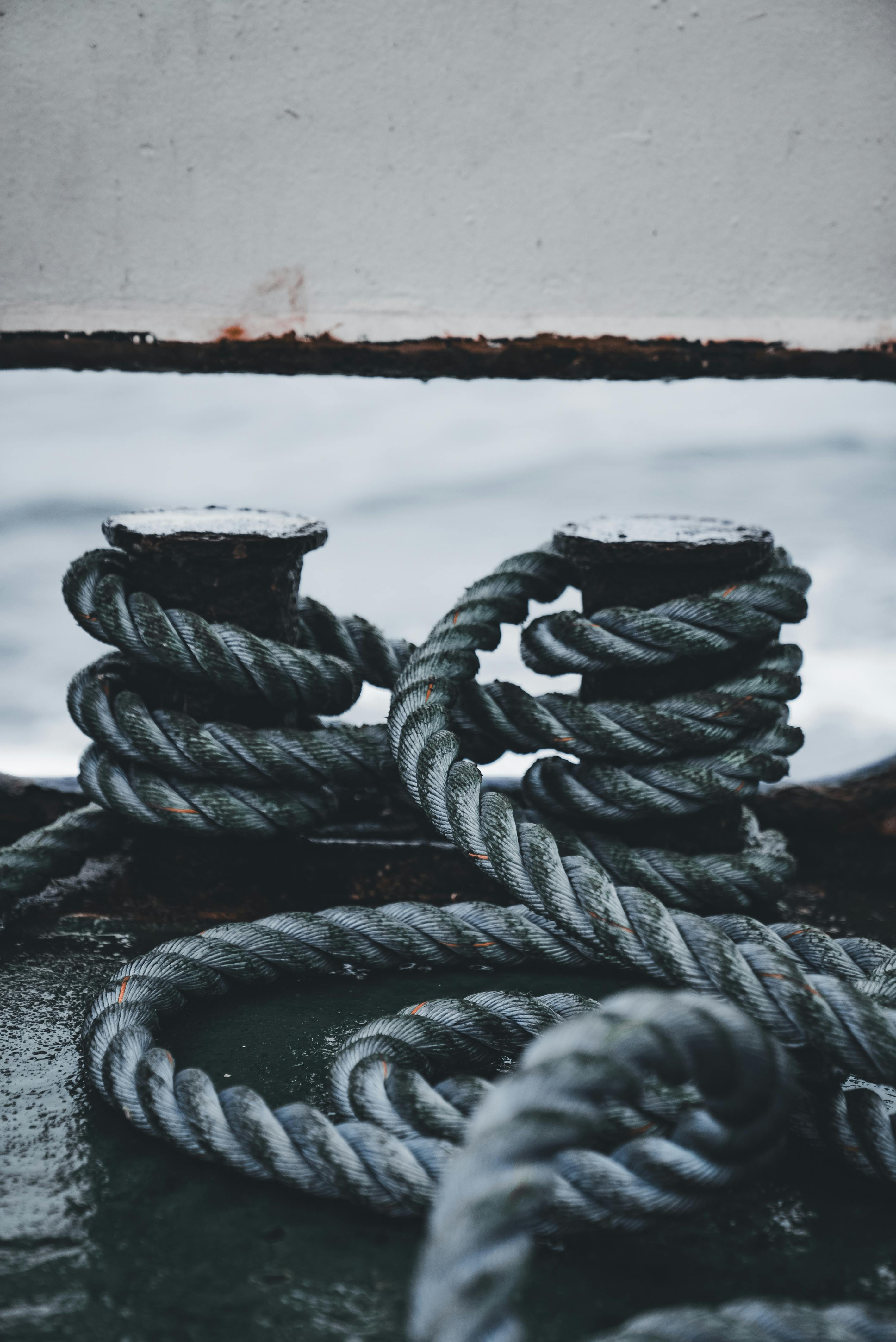Tied Up Ropes Photos, Download The BEST Free Tied Up Ropes Stock Photos ...
