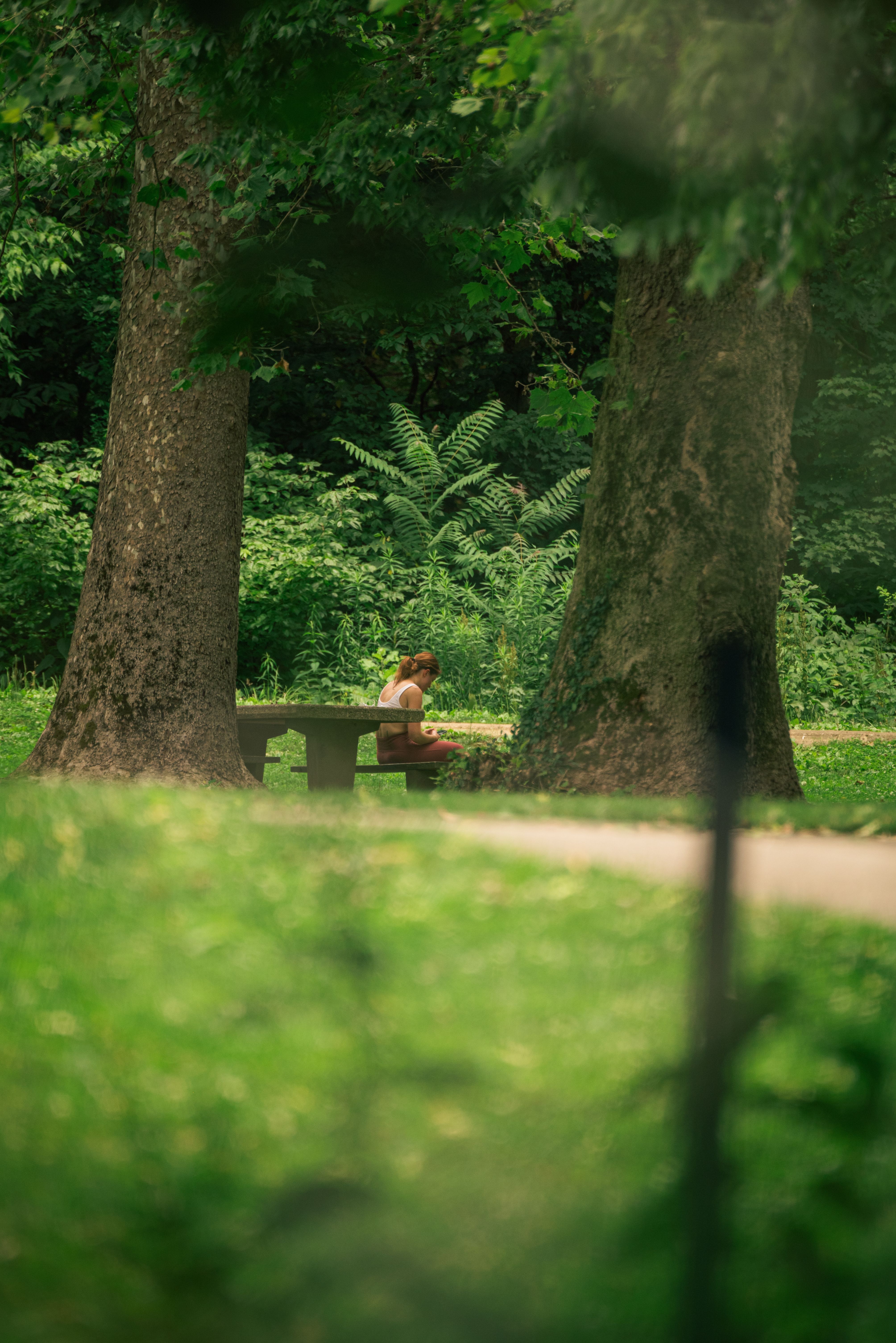 Woman Sitting between Trees in Park · Free Stock Photo