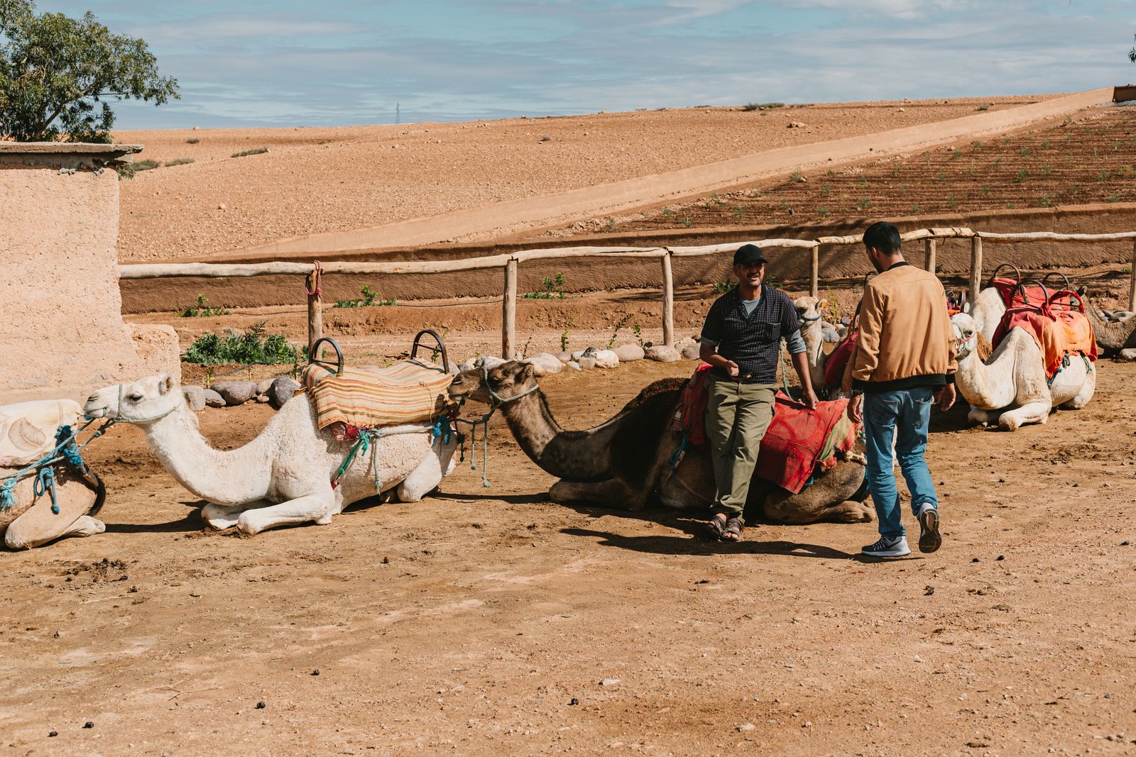 Ass Farm Photos, Download The BEST Free Ass Farm Stock Photos & HD Images