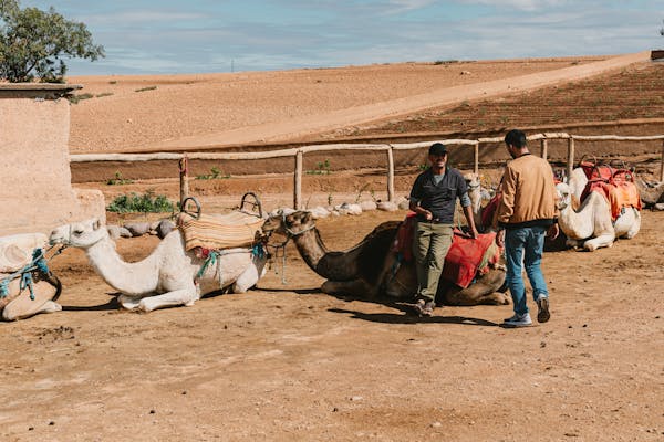 Ass Farm Photos, Download The BEST Free Ass Farm Stock Photos & HD Images