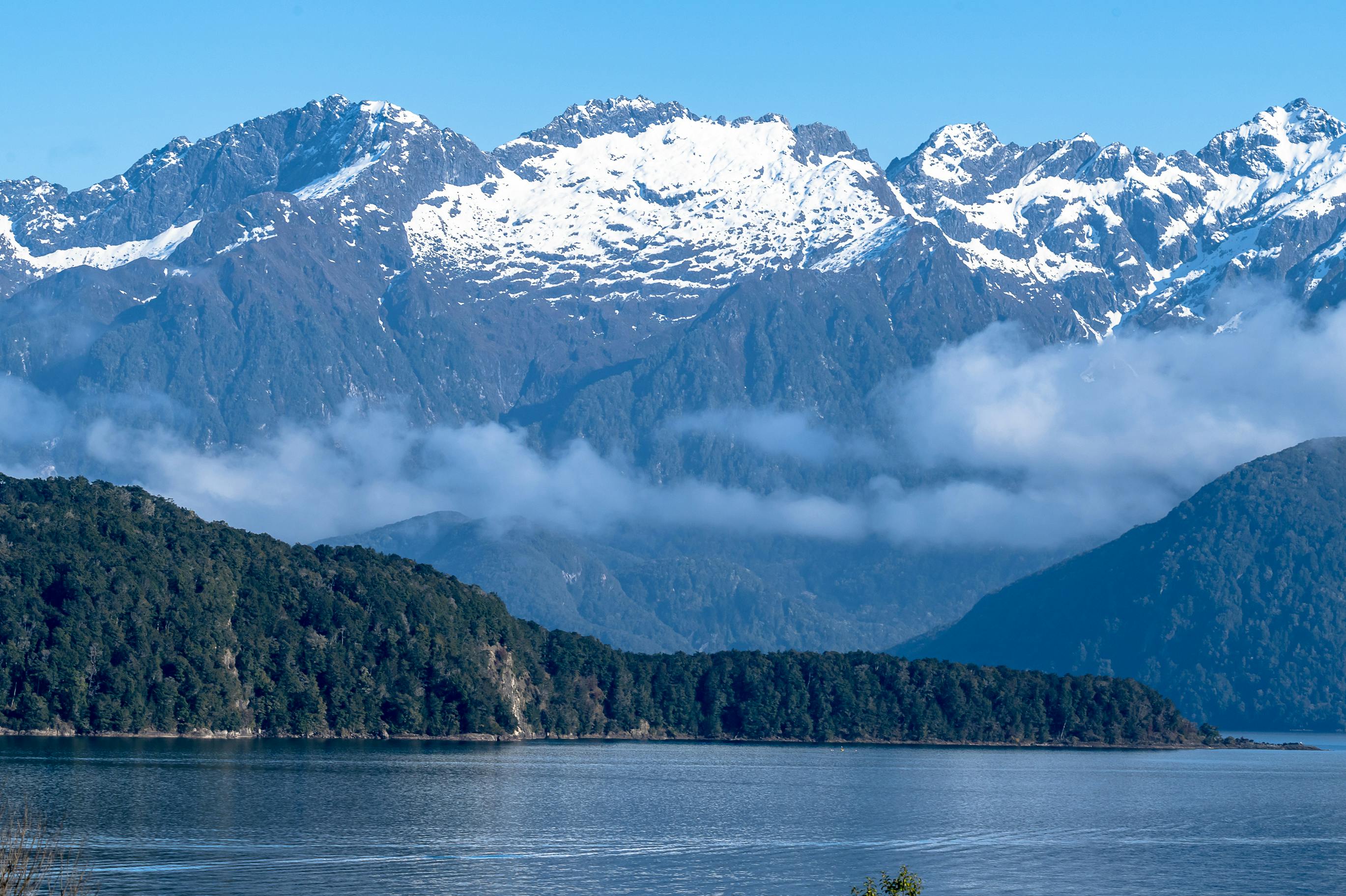 Pegions Wallpaper Photos, Download The BEST Free Pegions Wallpaper ...