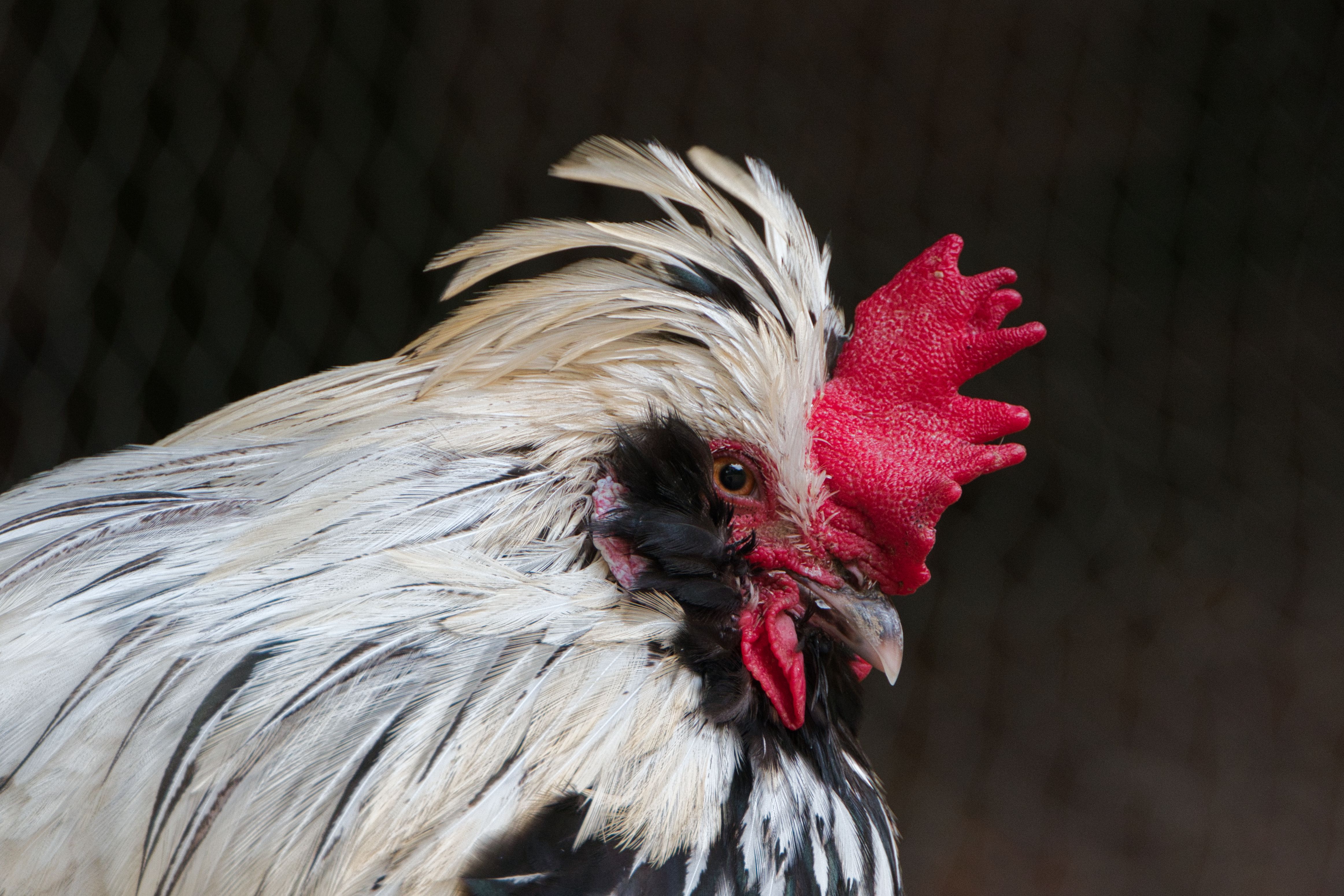 Foto de stock gratuita sobre @al aire libre, agricultura, al aire libre ...