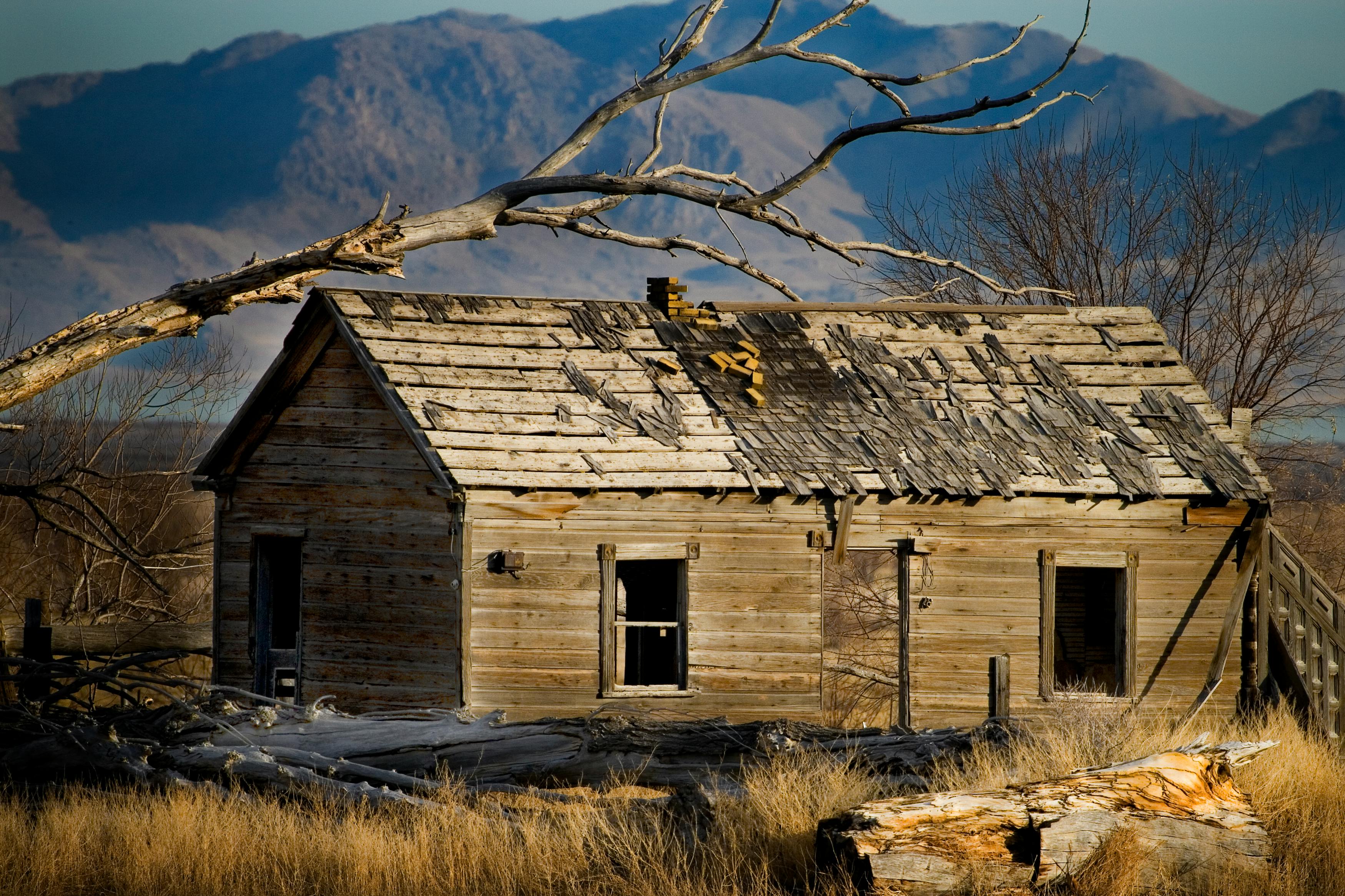 Withered Branch over Abandoned, Wooden House in Countryside · Free ...